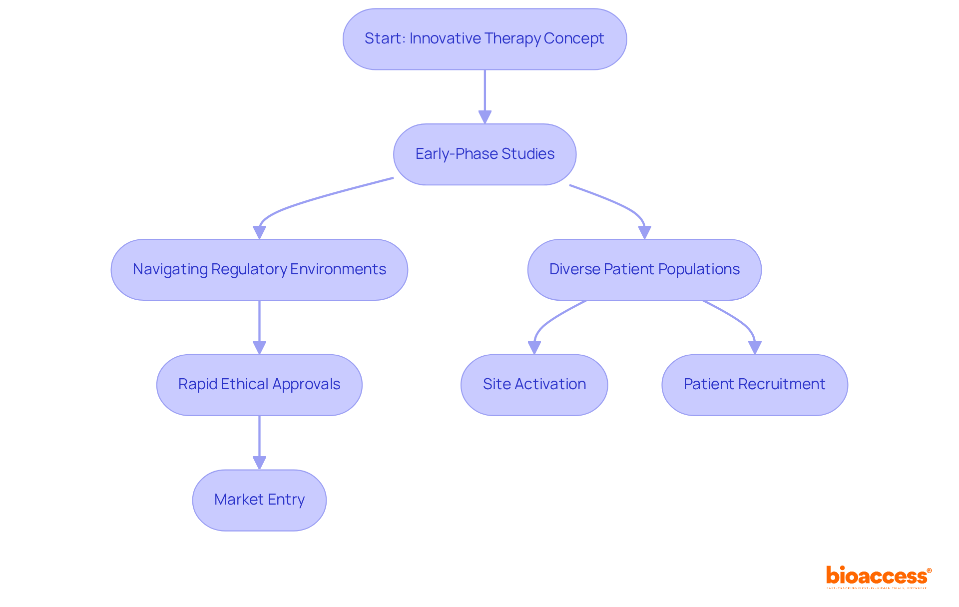 This flowchart shows how bioaccess® brings innovative therapies to clinical application — follow the steps from concept to market to see how each process contributes to faster research and development.
