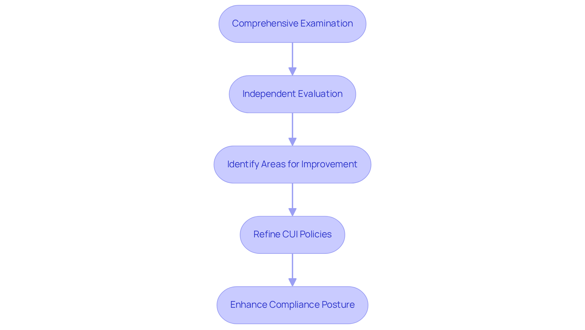 Each box represents a key action taken by external auditors. Follow the arrows to understand how these actions work together to improve compliance standards.