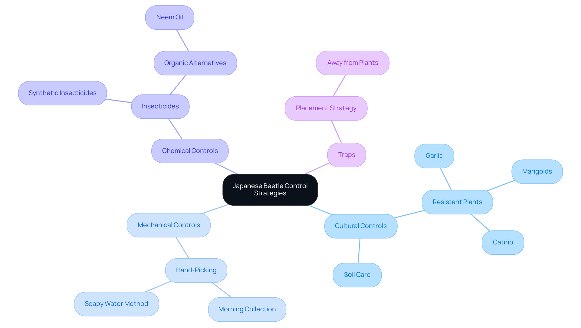 The central node represents the overall goal of controlling Japanese beetles. Each branch shows a different strategy, and the sub-branches provide specific actions you can take. This visual helps you see all your options at a glance.