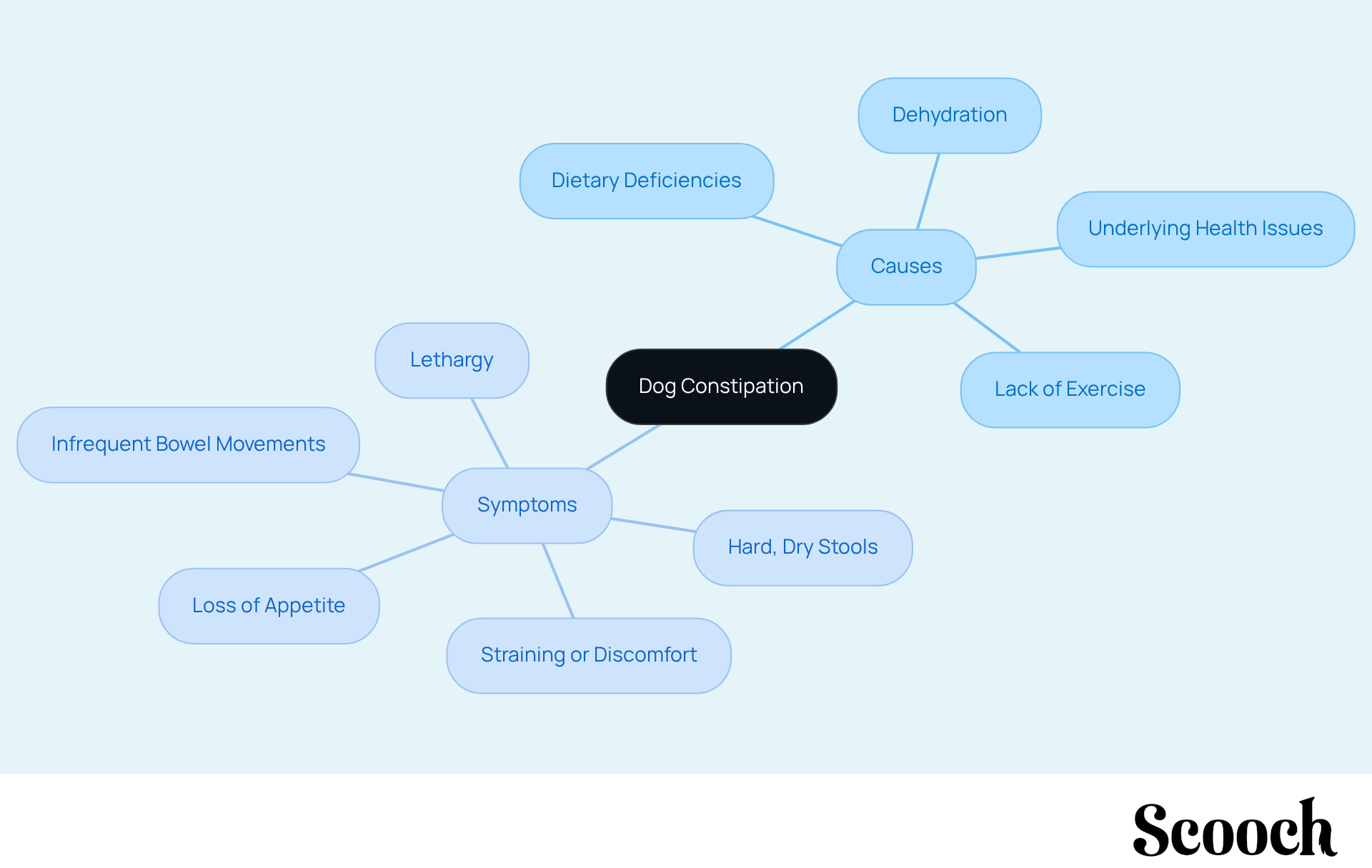 The central node represents the topic of dog constipation, with branches showing the various causes and symptoms. This helps you visualize how each aspect is related to the condition of constipation in dogs.
