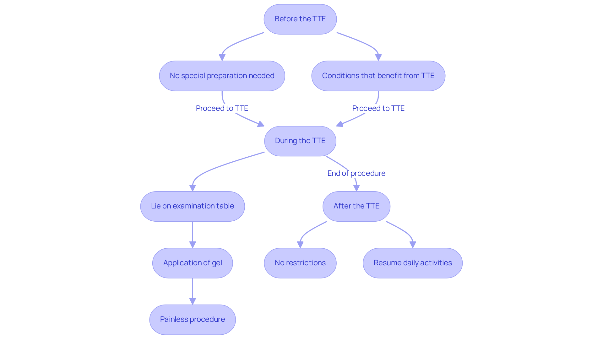 Each box represents a stage in the TTE process. Follow the arrows to understand what to expect before, during, and after the test.