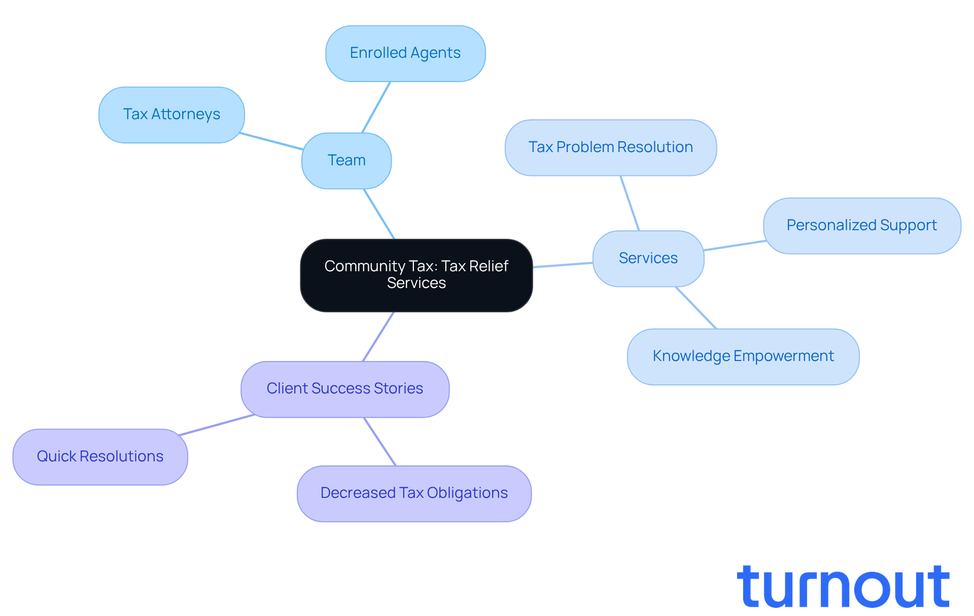 Start at the center with Community Tax's mission, then explore the branches to see the team structure, the services they provide, and the success stories from clients who have benefited from their help.