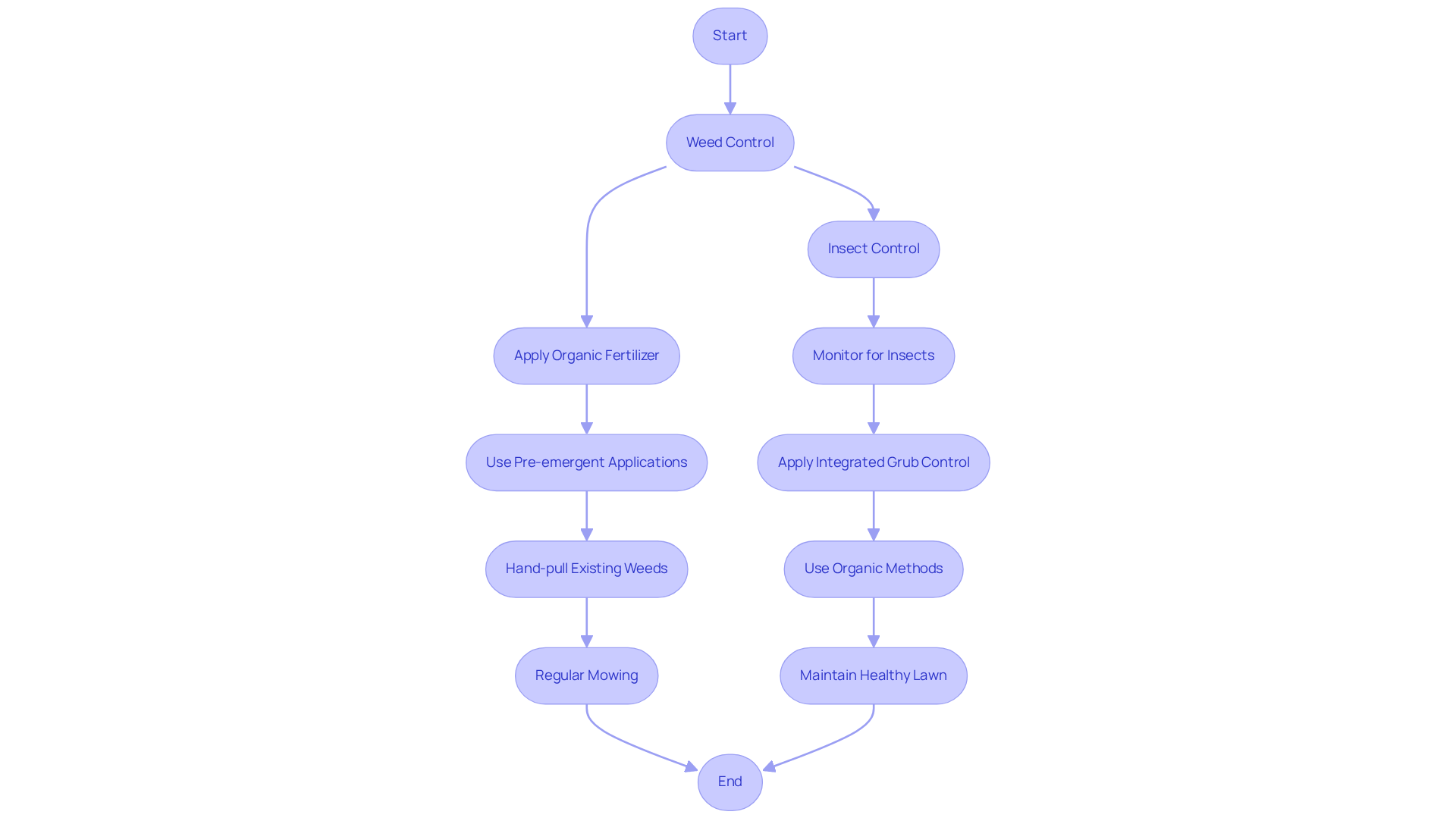 Follow the arrows to see the recommended steps for managing weeds and insects in your lawn. Each branch focuses on a different aspect of lawn care, helping you keep your grass healthy and vibrant.