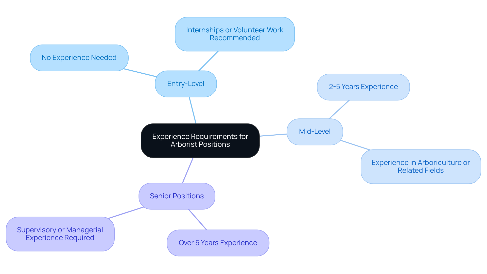 This mindmap starts at the center with the overall experience requirements for arborists. Each branch represents a different job level, showing the experience needed to qualify for that level. The further you go out from the center, the more specific the requirements become.