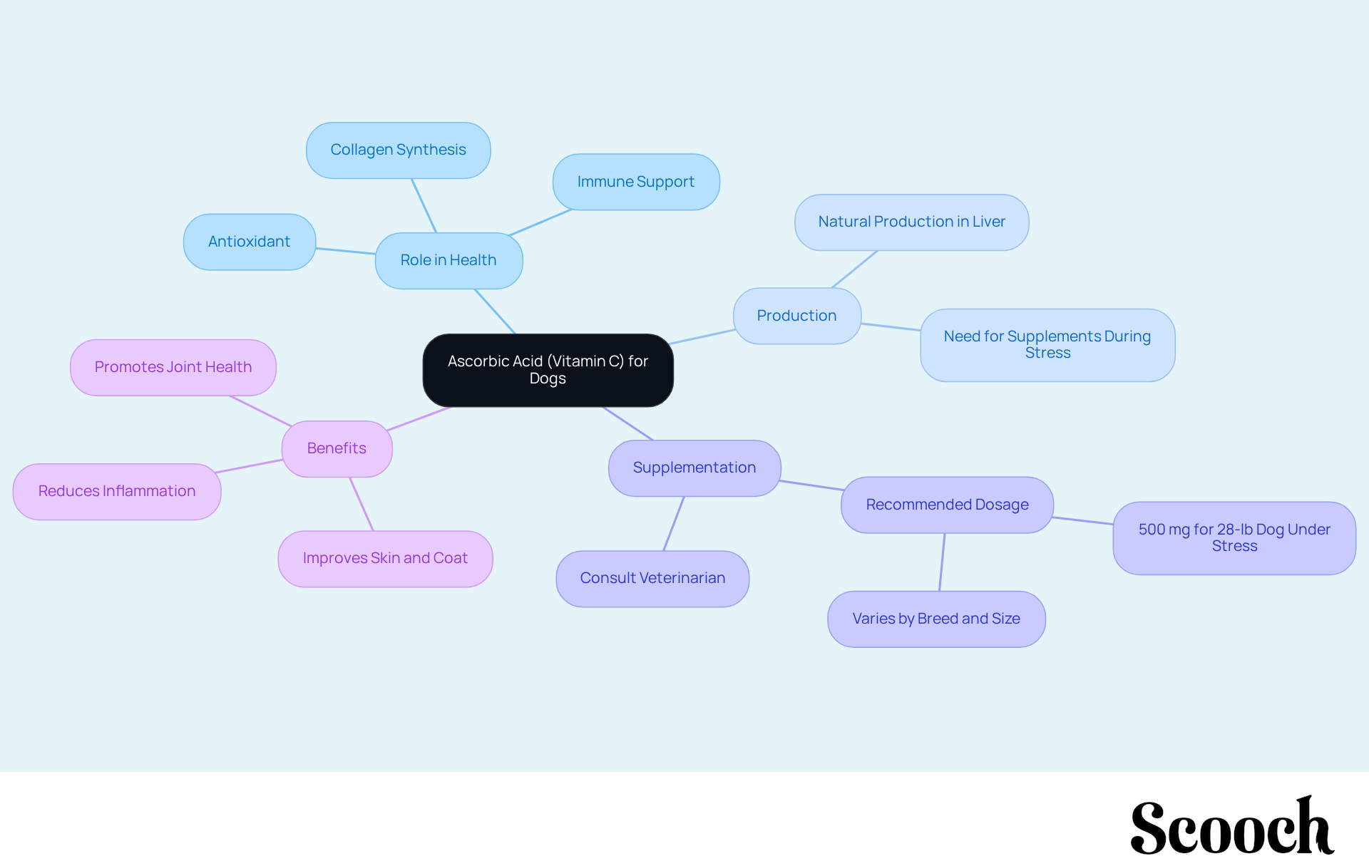 What is Ascorbic Acid for Dogs and Why It Matters for Health