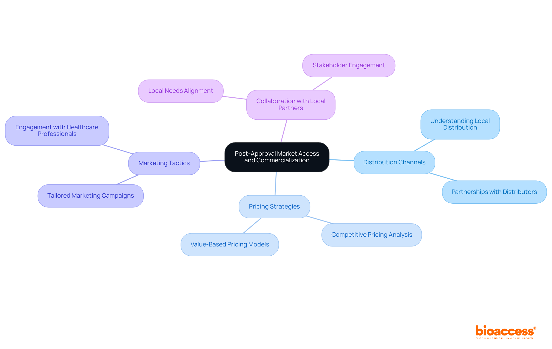 The central node represents the main strategy, while the branches show the key components that contribute to successful market entry. Each sub-branch provides specific actions or insights related to that component.