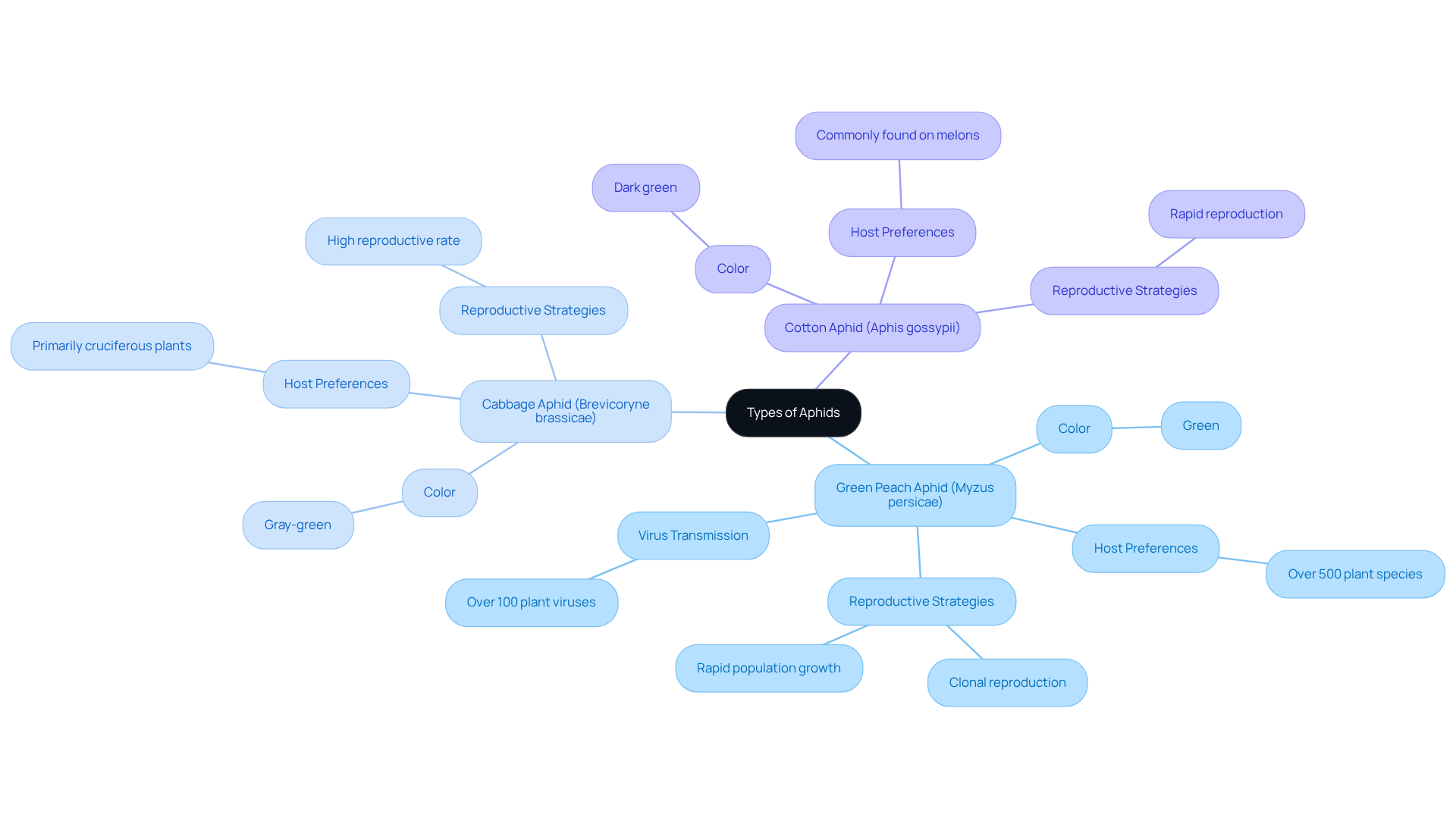 The central node represents the main topic of aphids, while each branch shows a specific species. The sub-branches provide details about their traits and behaviors, helping you understand how to manage them effectively. The central node represents the main topic of aphids, while each branch shows a specific species. The sub-branches provide details about their traits and behaviors, helping you understand how to manage them effectively.