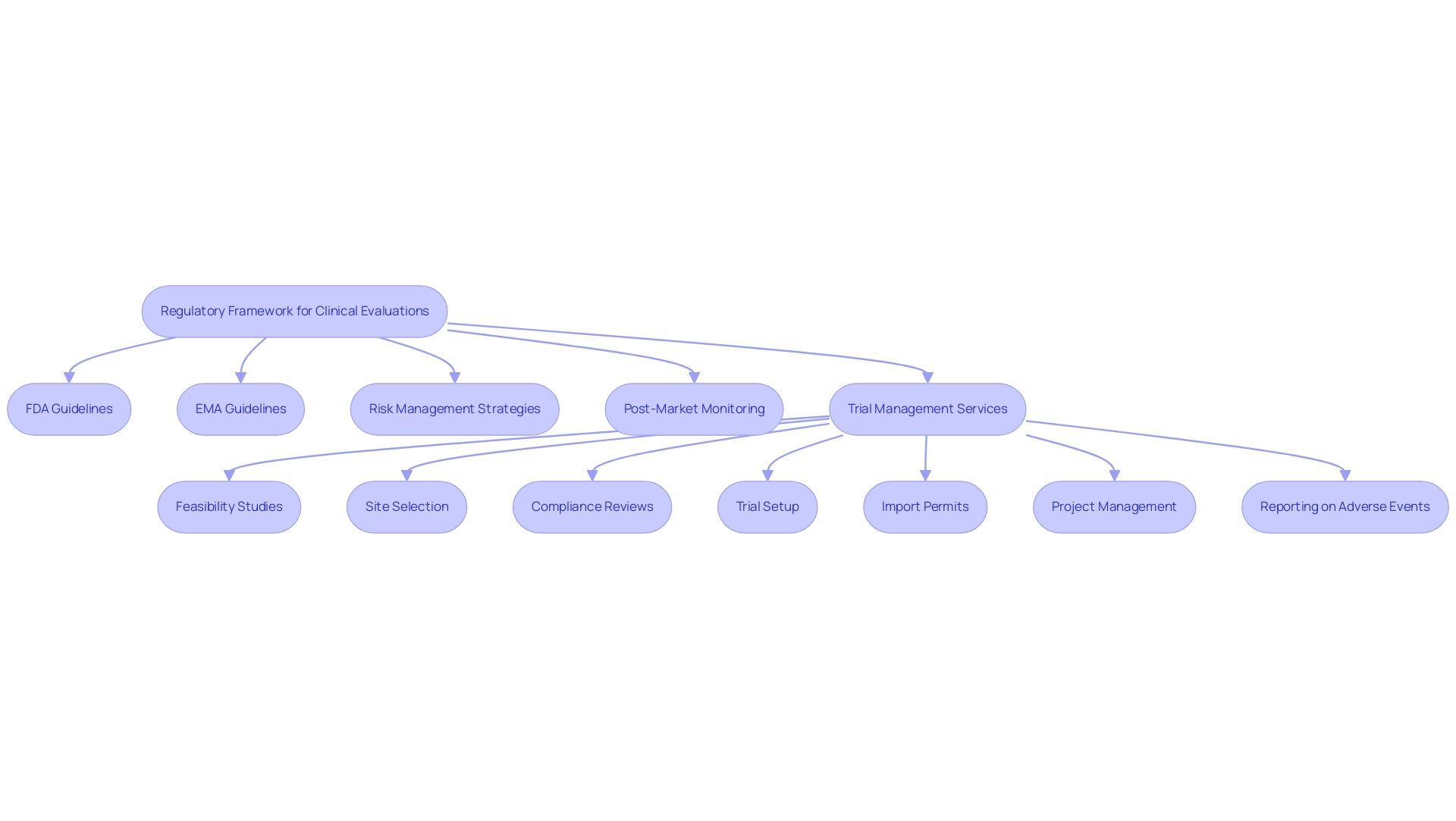 Arrows indicate the flow of processes; boxes represent key components of the regulatory framework and clinical evaluation services.