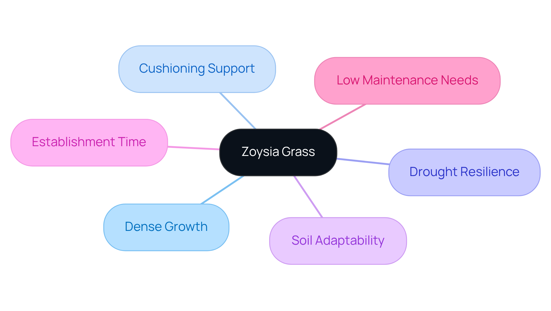The center represents Zoysia grass, and the branches show its key features. Each feature highlights why Zoysia is a great choice for high-traffic areas. The center represents Zoysia grass, and the branches show its key features. Each feature highlights why Zoysia is a great choice for high-traffic areas.