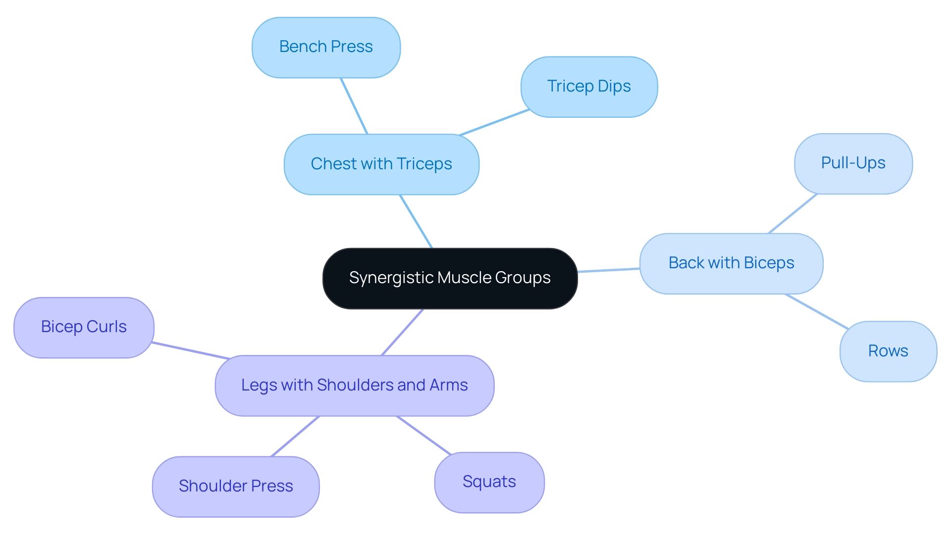 Each branch represents a pairing of muscle groups, illustrating their collaborative connections for enhanced workout efficiency.