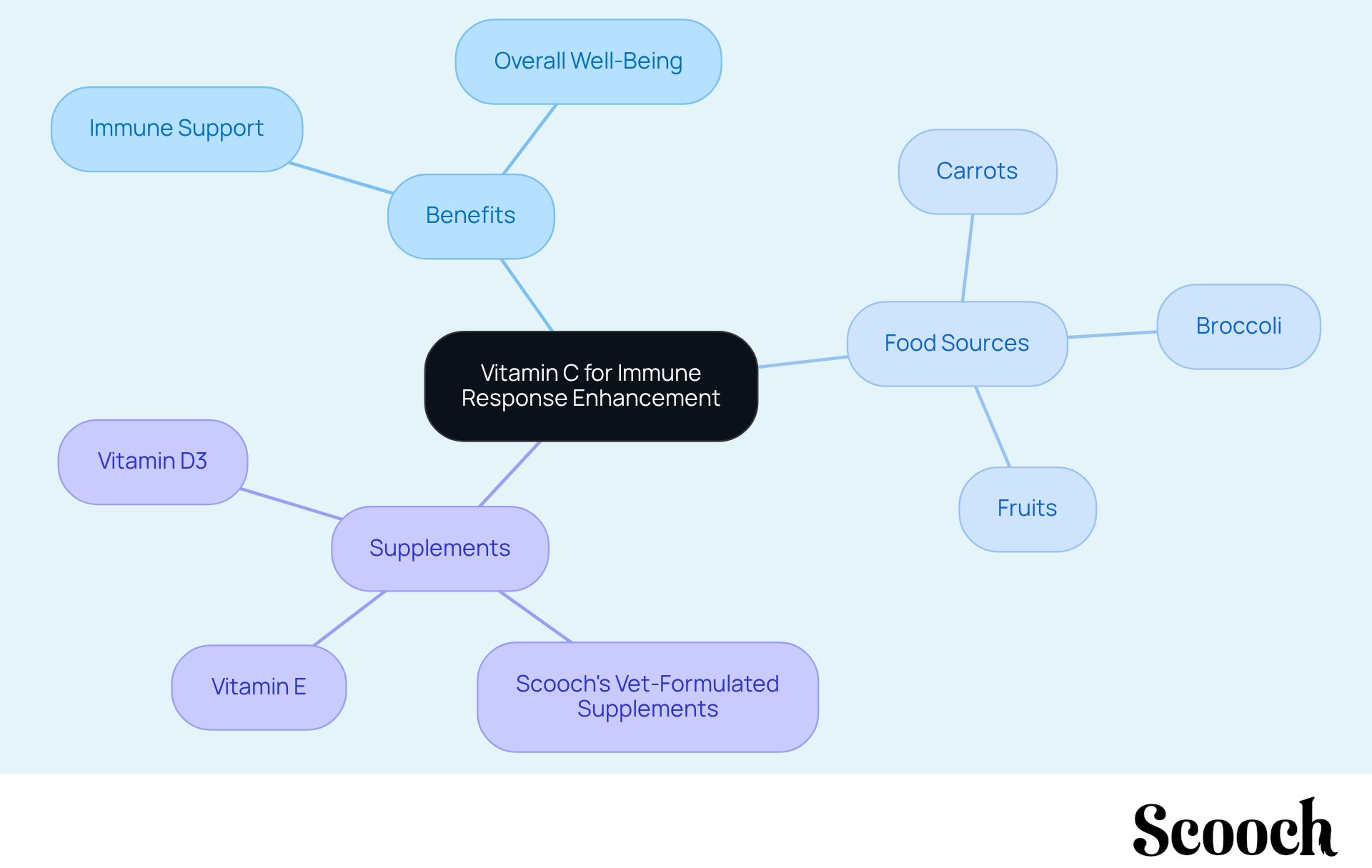 This mindmap shows how Vitamin C can boost your dog's immune system. Start at the center with the main idea, then follow the branches to see the benefits, food sources, and supplements that can help keep your dog healthy.