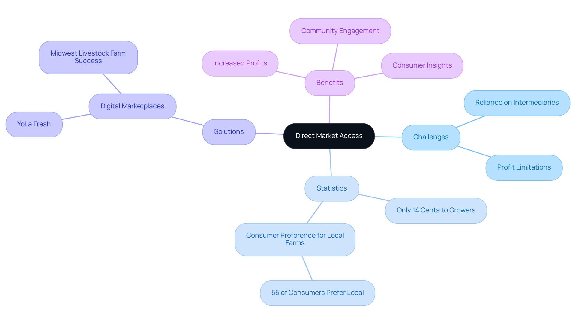 The central idea is direct market access for producers. Each branch represents a different aspect: challenges they face, important statistics, potential solutions, and the benefits of engaging directly with consumers.