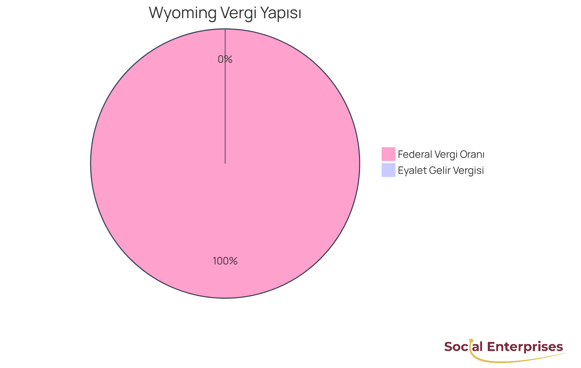 Bu grafik, Wyoming C Corporation'larının vergi yükümlülüklerini gösteriyor. Eyalet gelir vergisi yok, bu da işletmeler için büyük bir avantaj. Federal vergi oranı ise %21. Bu, girişimcilerin daha fazla kaynak kullanarak büyüme fırsatlarını artırmasını sağlıyor.