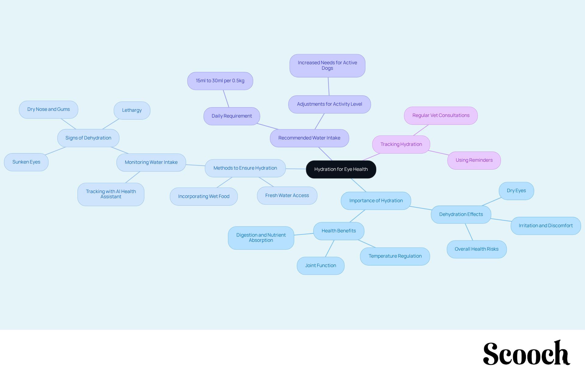 The center shows the main topic of hydration, with branches leading to important aspects like why hydration matters, how to ensure it, and tips for tracking your dog's water intake.