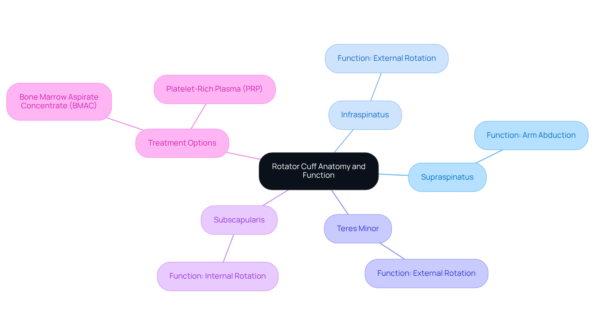The central node represents the overall topic, while each branch shows a specific muscle and its function. The treatment options branch highlights how these muscles can be supported through innovative therapies.