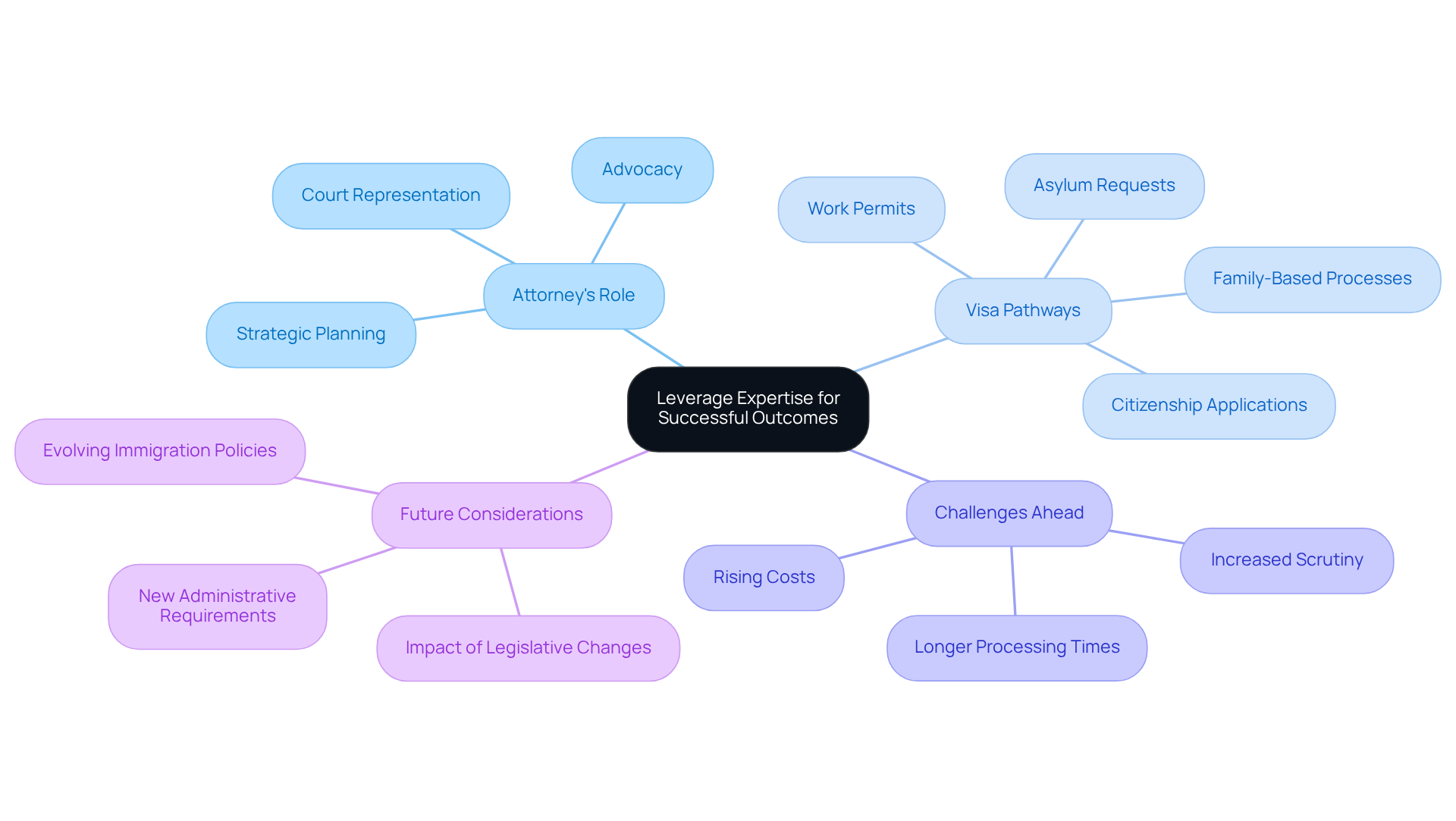 The central node represents the main theme of leveraging expertise, while the branches show the different areas where the attorney can assist. Each sub-branch provides more detail on specific pathways and challenges, helping you understand the comprehensive support available.