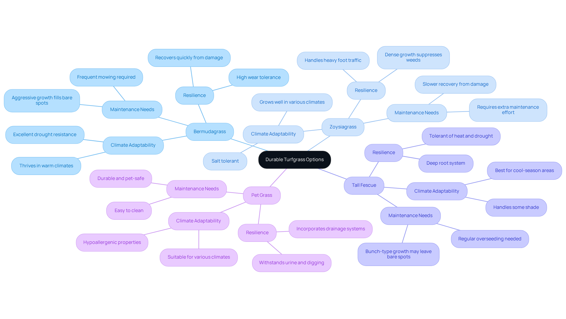 This mindmap shows different types of grass that are great for dog owners. Each branch represents a type of grass, and the smaller branches explain what makes each one special. Follow the branches to see which grass might be the best fit for your yard!