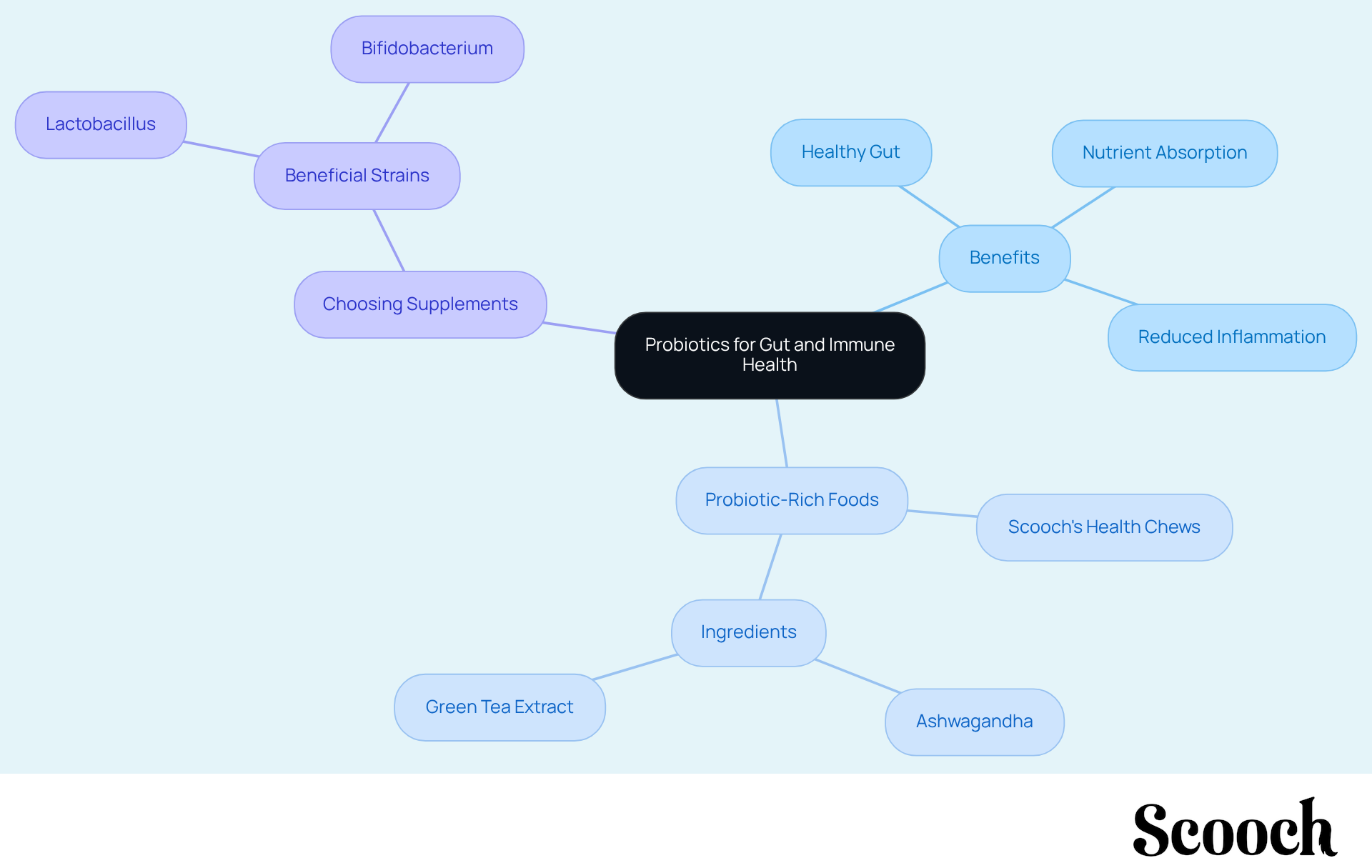This mindmap shows how probiotics can benefit your dog's health. Start at the center with the main topic, then follow the branches to explore the benefits, types of foods, and what to look for in supplements. Each branch helps you understand how probiotics contribute to your dog's well-being.