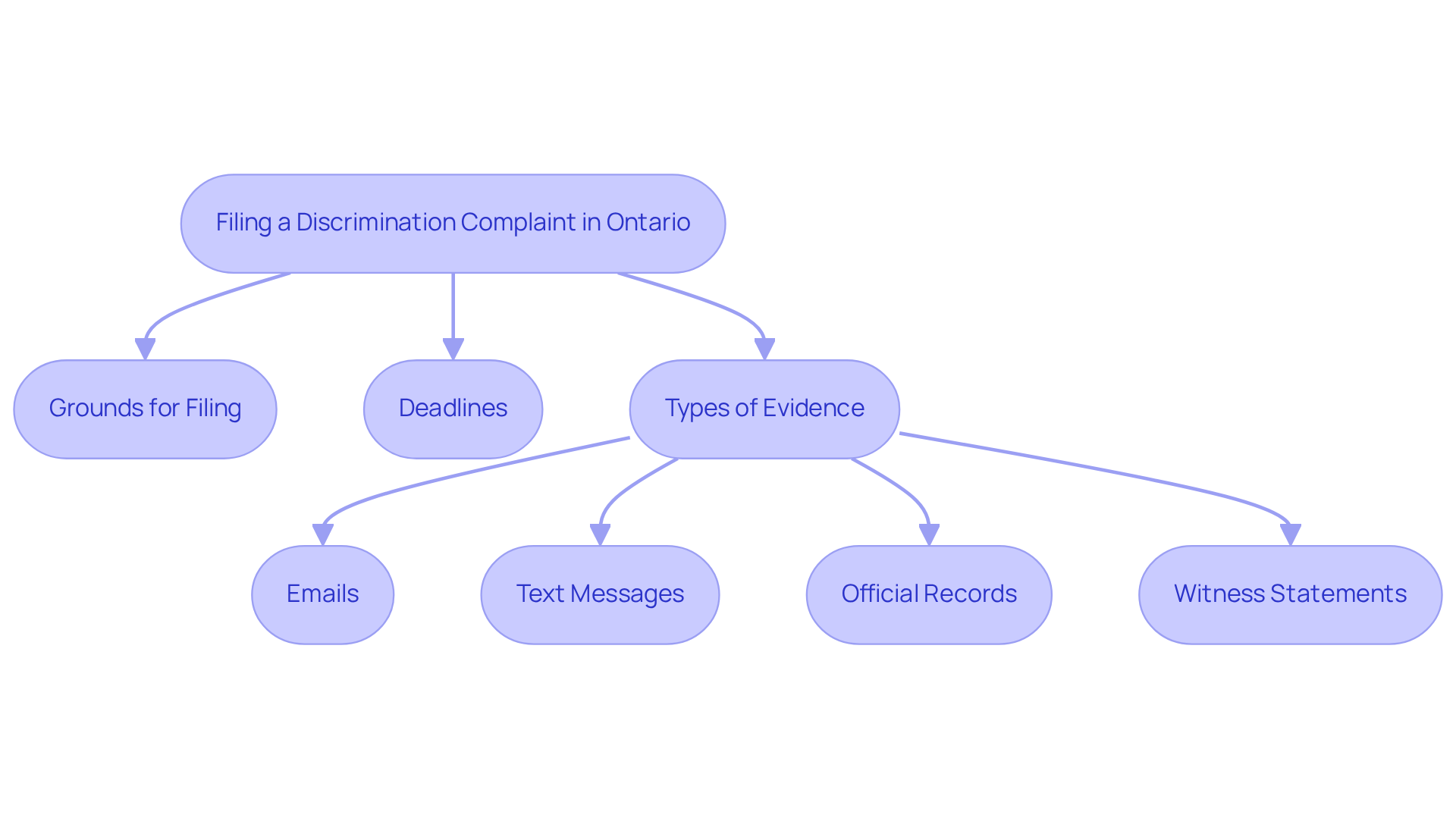 This flowchart guides you through the process of filing a discrimination complaint. Each box represents a key consideration or type of evidence needed. Follow the arrows to see how each step connects to the next.