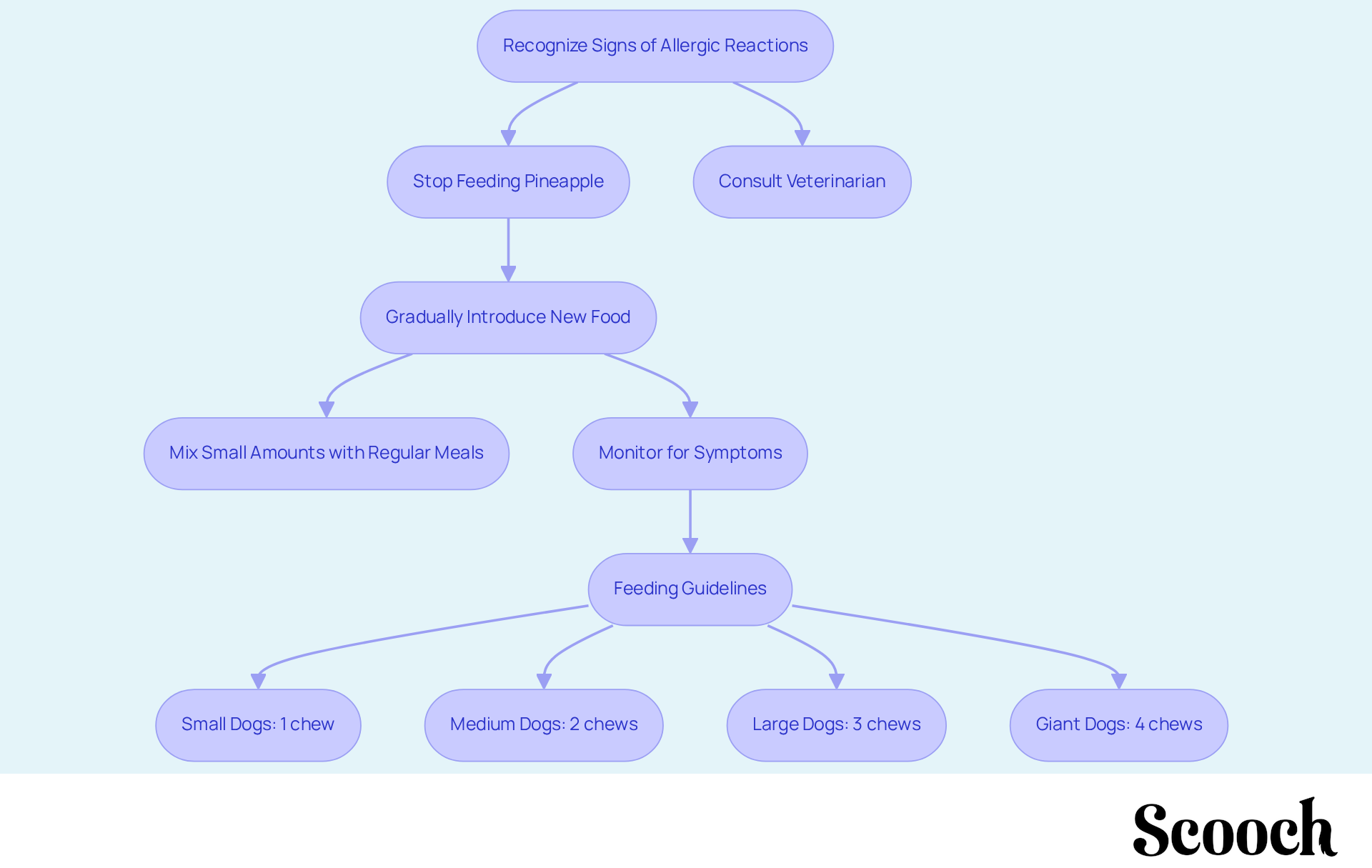 This flowchart guides you through the steps to take if your dog shows signs of food allergies and how to introduce new foods safely. Follow the arrows to ensure your furry friend stays healthy!