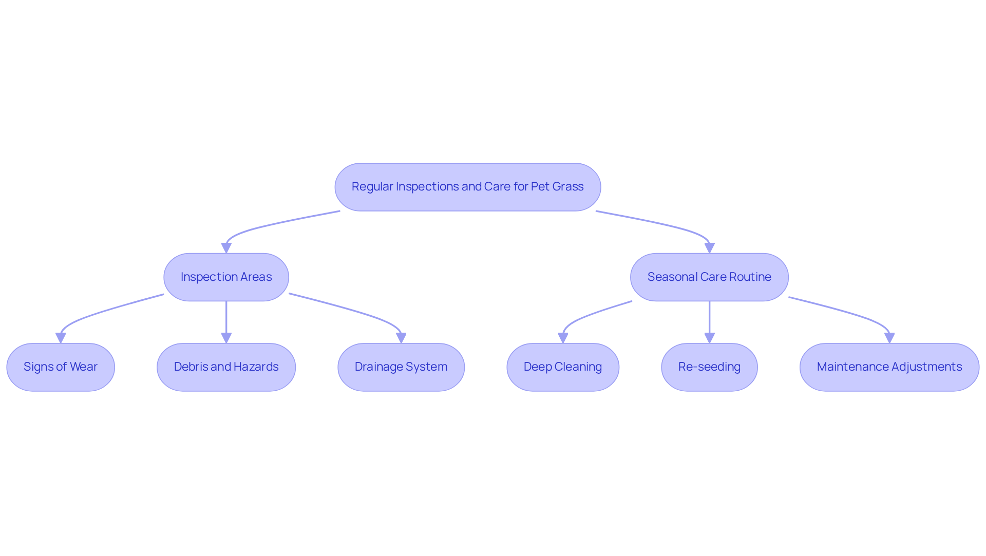Follow the arrows to see the steps for inspecting and caring for your pet grass. Each box represents a task you should complete to keep your turf healthy and safe for your pets.