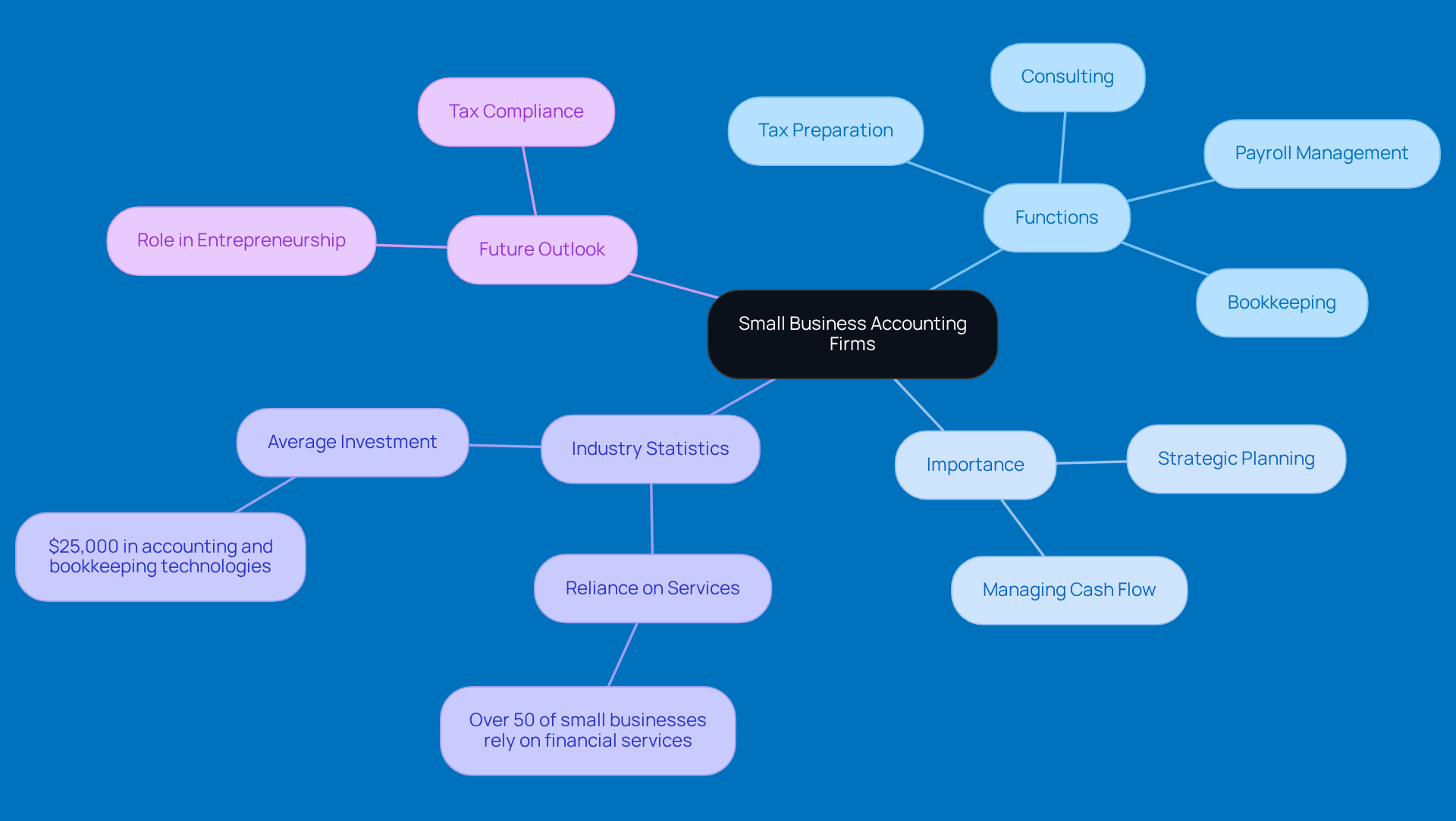 The central node represents small business accounting firms, while the branches illustrate their functions, importance, statistics, and future roles. Each color-coded branch helps differentiate between the various aspects, making the information easy to navigate.