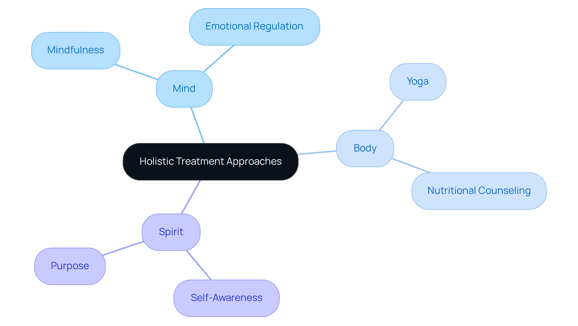 This mindmap shows how holistic treatment approaches connect various aspects of recovery. Each branch represents a different area of focus, helping you see how mind, body, and spirit work together in the healing process.