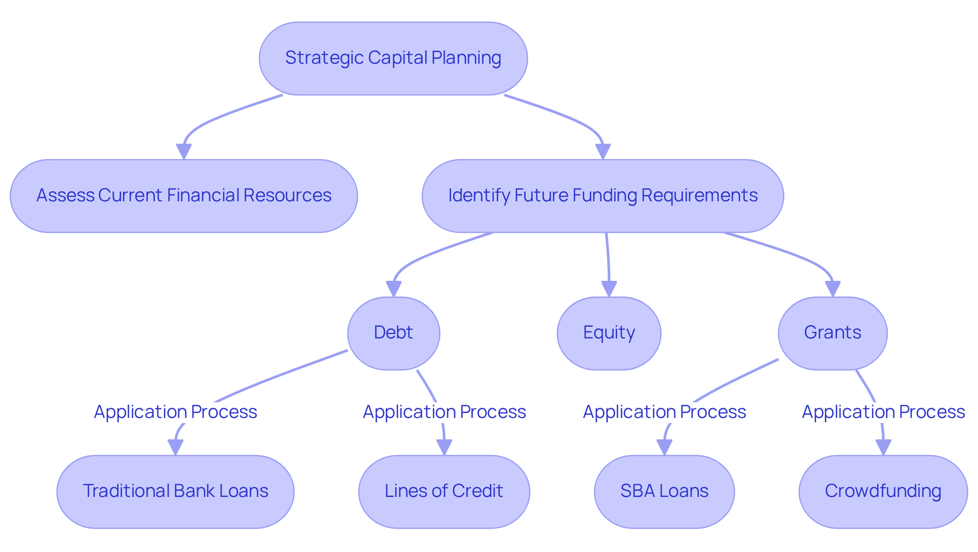This flowchart guides you through the strategic capital planning process for vineyards. Each step shows what to do next, from assessing current resources to exploring different financing options and understanding their application processes.