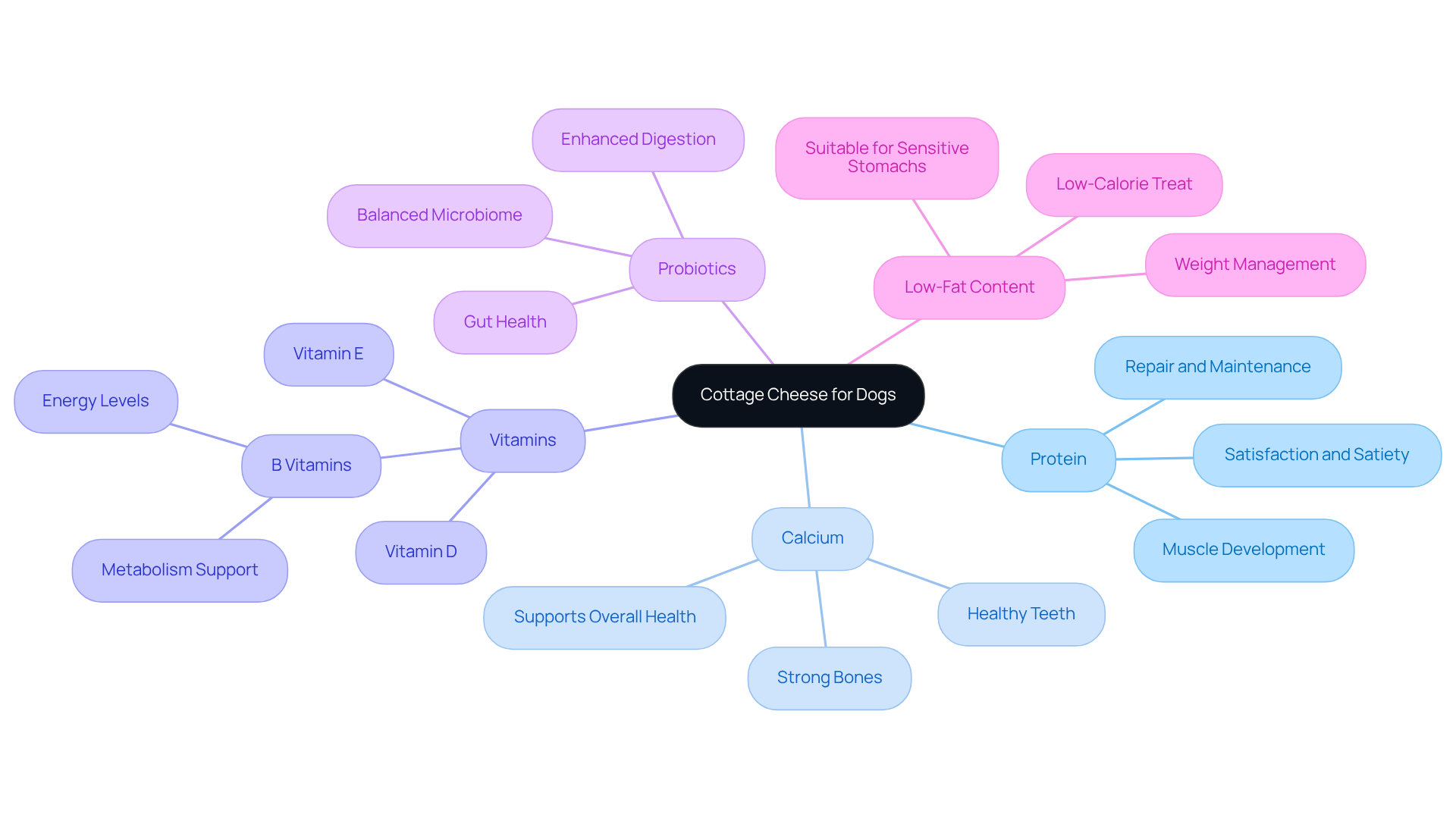 The center represents cottage cheese, and each branch highlights a nutrient or benefit. Follow the branches to see how each aspect contributes to your dog's health.