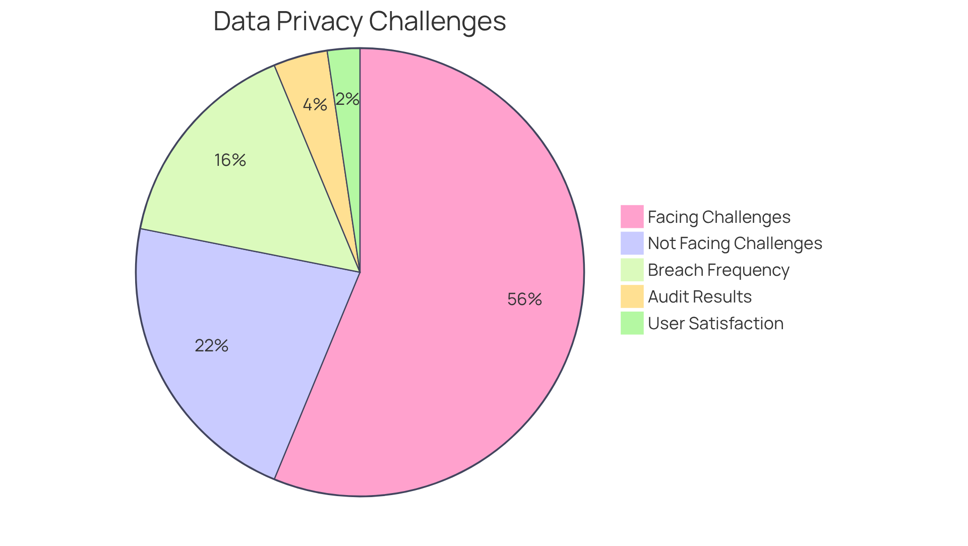 The large segment shows the percentage of organizations struggling with data privacy in AI, while the smaller segments represent key metrics for assessing AI governance options. The bigger the segment, the more significant the issue.