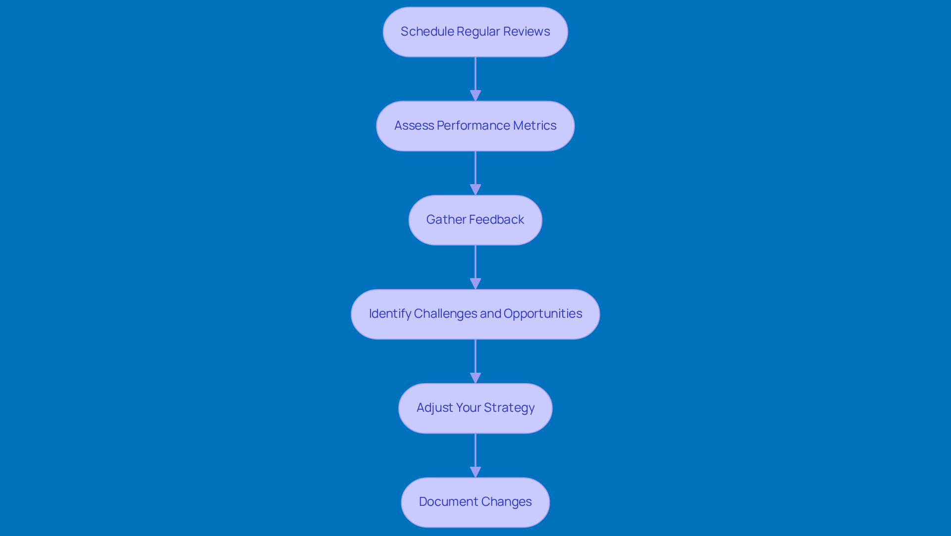 Each box represents a step in the process of reviewing and adjusting your strategy. Follow the arrows to see how each step leads to the next, helping you stay on track and responsive to changes in your environment.