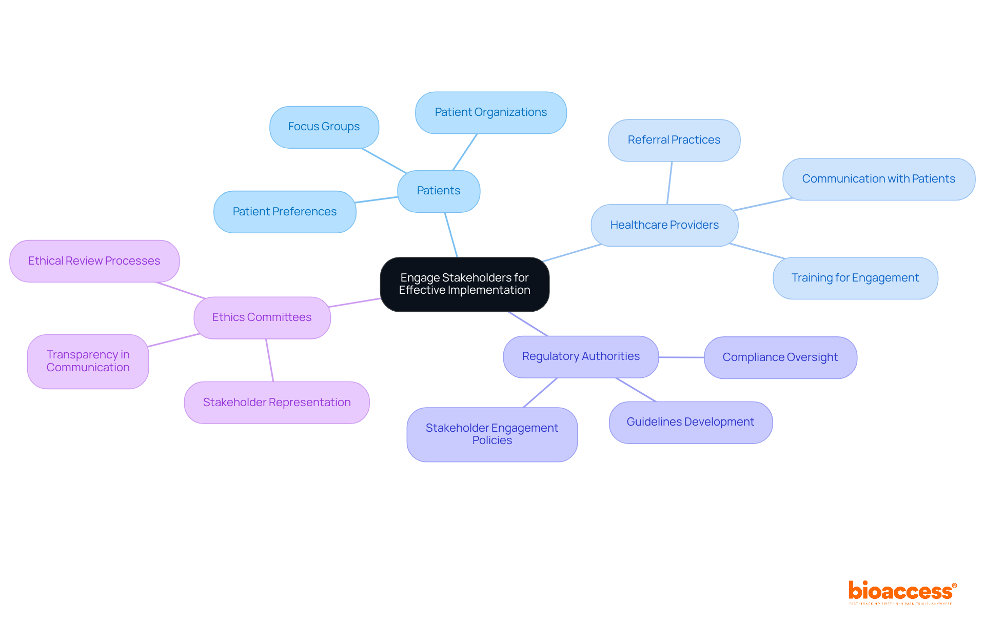 The central node represents the main theme of stakeholder engagement. Each branch shows a different group involved in the process, with further details on their specific roles and strategies for effective collaboration.
