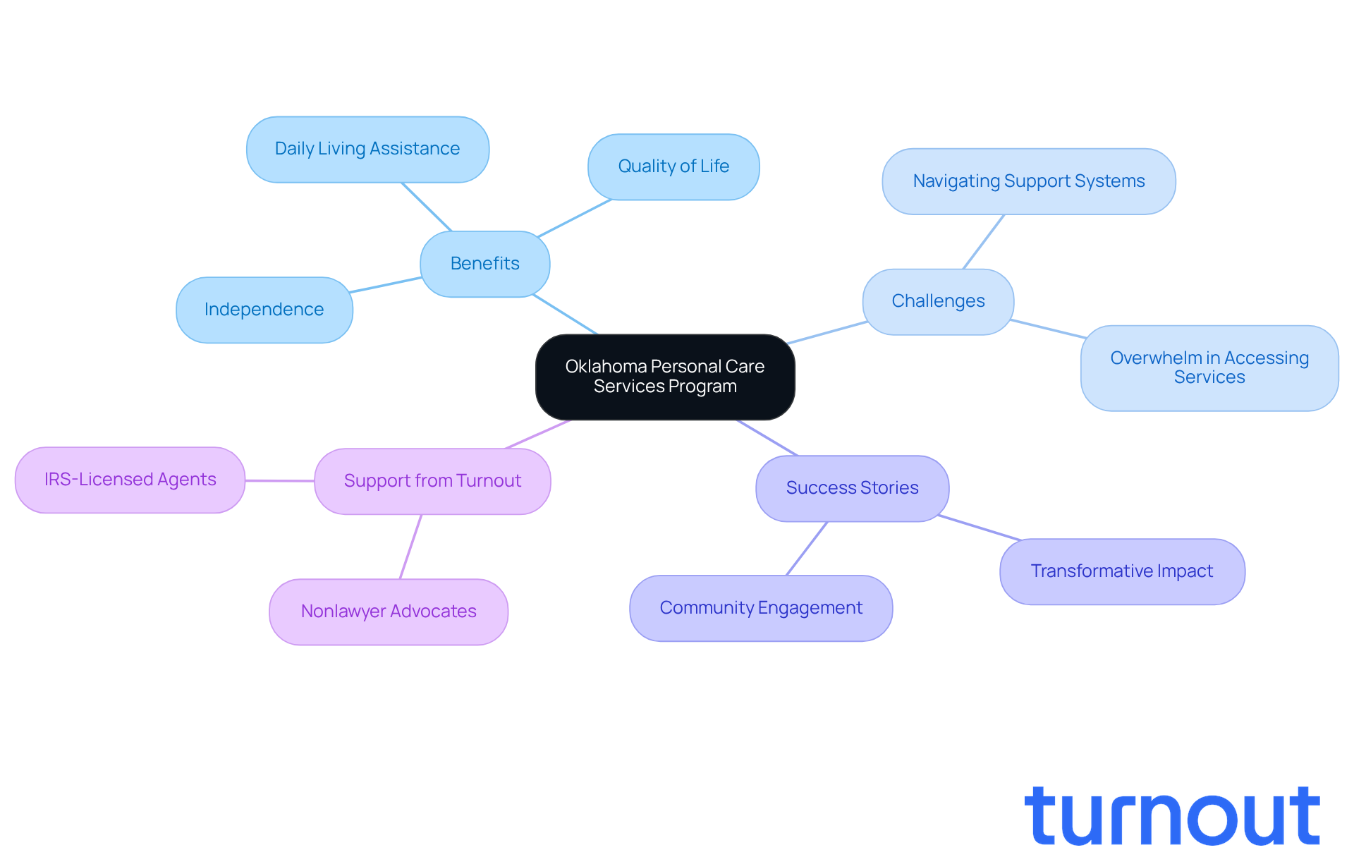 The center represents the main program, and the branches show how it helps individuals with disabilities. Each branch highlights different aspects of the program, making it easy to understand the overall impact.