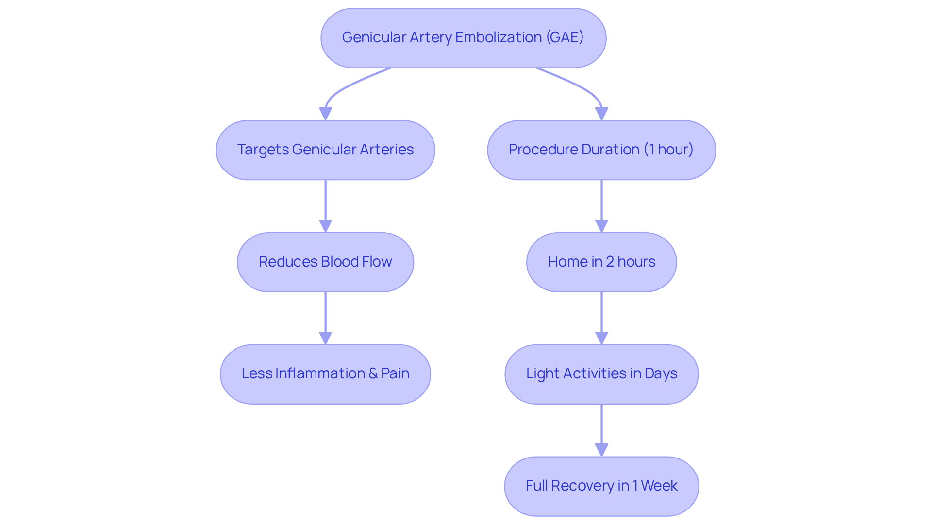 Follow the arrows to see how GAE works — from targeting the arteries to the expected recovery timeline. Each box represents a key step or outcome in the process.