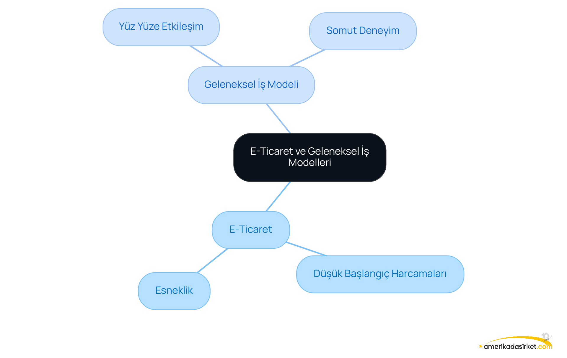 Merkezdeki başlık, iki iş modelinin karşılaştırmasını yapıyor. Dallar, her modelin avantajlarını ve özelliklerini gösteriyor. Renkler, her bir modelin farklı yönlerini ayırt etmeye yardımcı oluyor.
