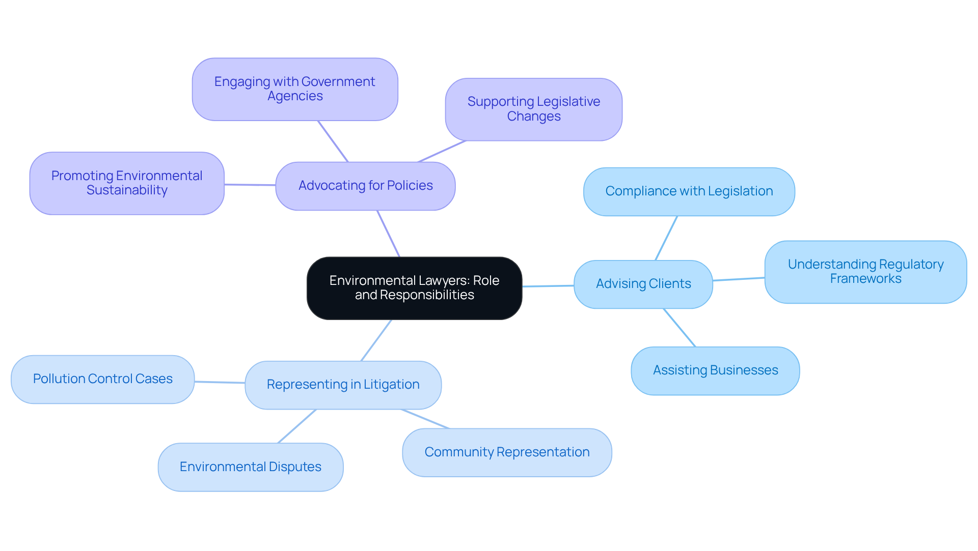 The central node represents the main topic, while the branches show the key responsibilities and examples of how environmental lawyers contribute to legal and environmental issues.