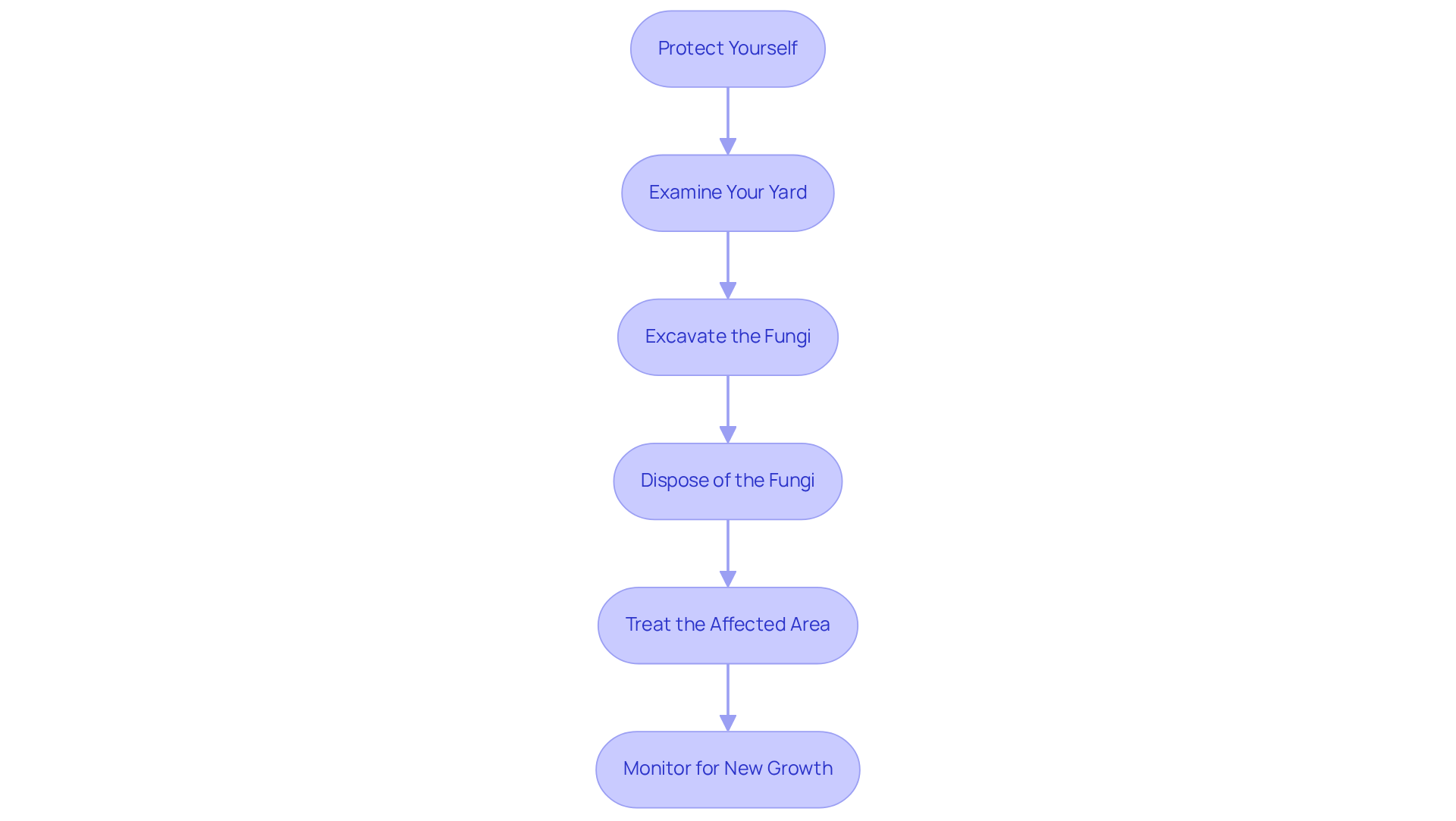 Each box represents a step in the process of removing stinkhorn fungus. Follow the arrows to see what to do next, starting from protecting yourself to monitoring for any new growth.