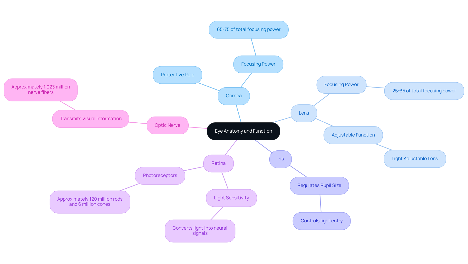 This mindmap illustrates the key components of the eye and their functions. Start at the center with 'Eye Anatomy and Function', then explore each branch to learn about the cornea, lens, iris, retina, and optic nerve. Each part plays a crucial role in how we see and experience comfort in our vision. This mindmap illustrates the key components of the eye and their functions. Start at the center with 'Eye Anatomy and Function', then explore each branch to learn about the cornea, lens, iris, retina, and optic nerve. Each part plays a crucial role in how we see and experience comfort in our vision.