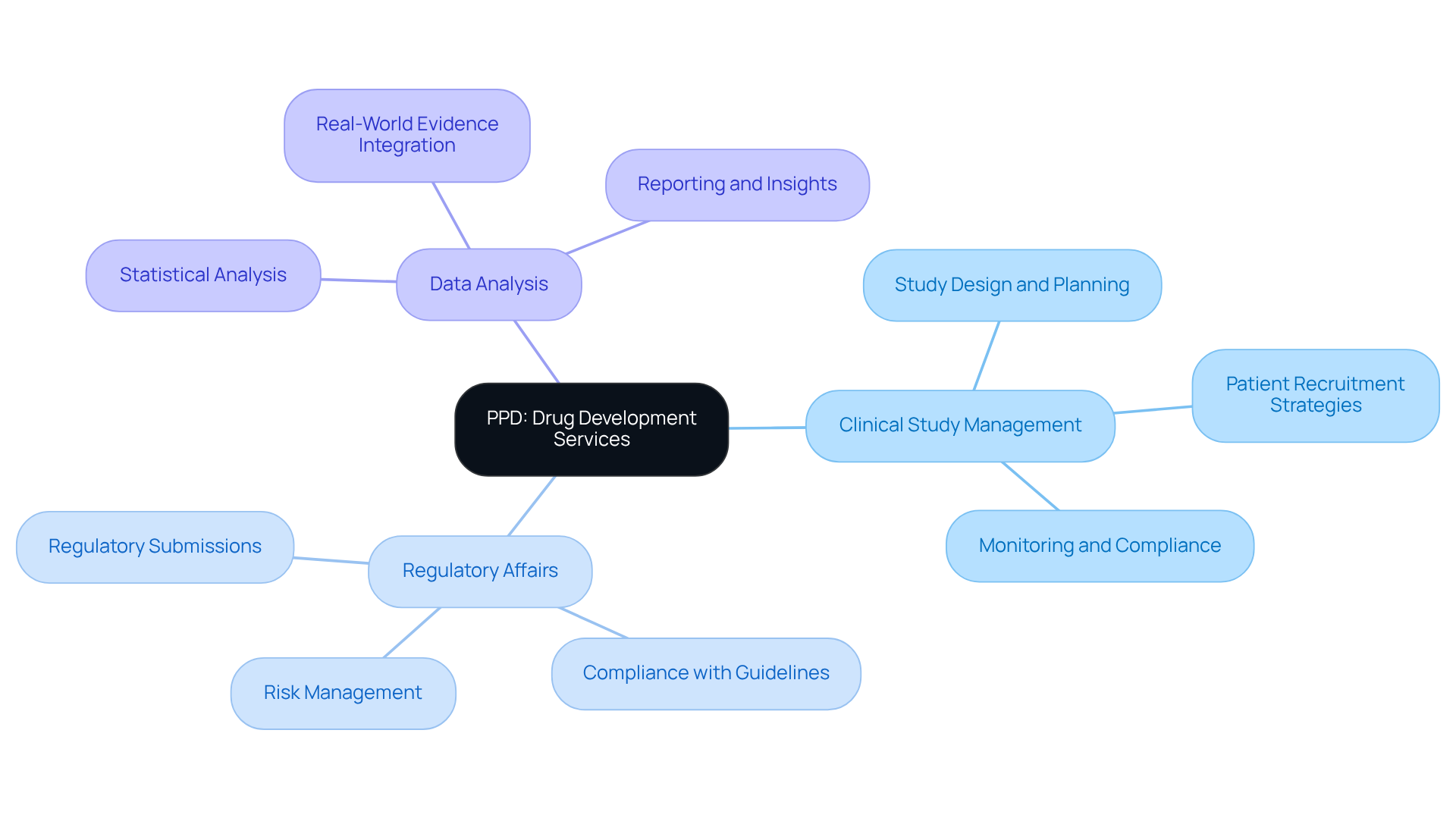The center represents PPD's comprehensive services, with branches showing the key areas of focus. Each branch highlights how PPD supports clients in the drug development lifecycle.