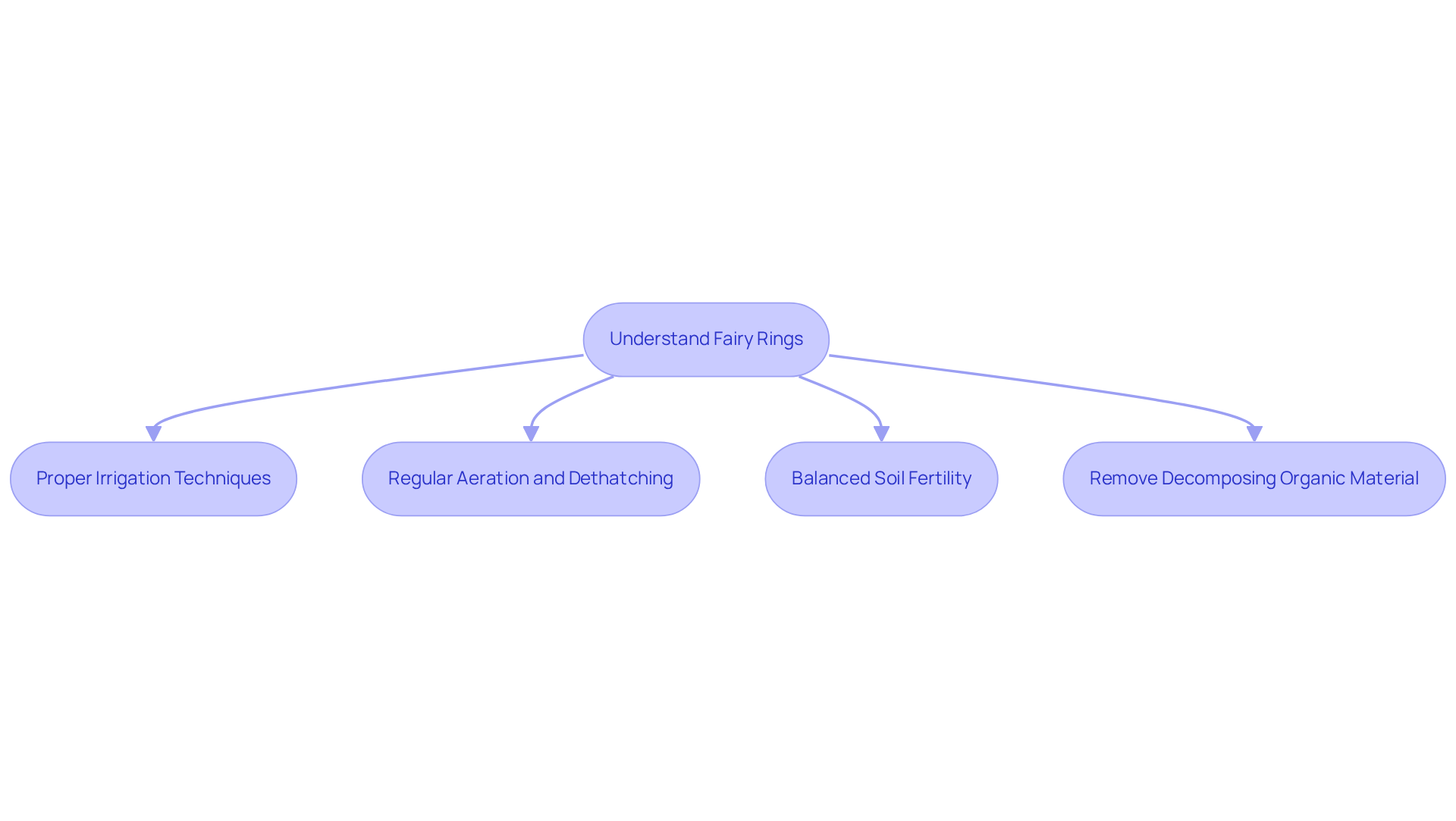 Follow the arrows to see the steps you can take to keep your lawn healthy and prevent those pesky mushroom circles. Each box represents a key action to improve your lawn's condition.