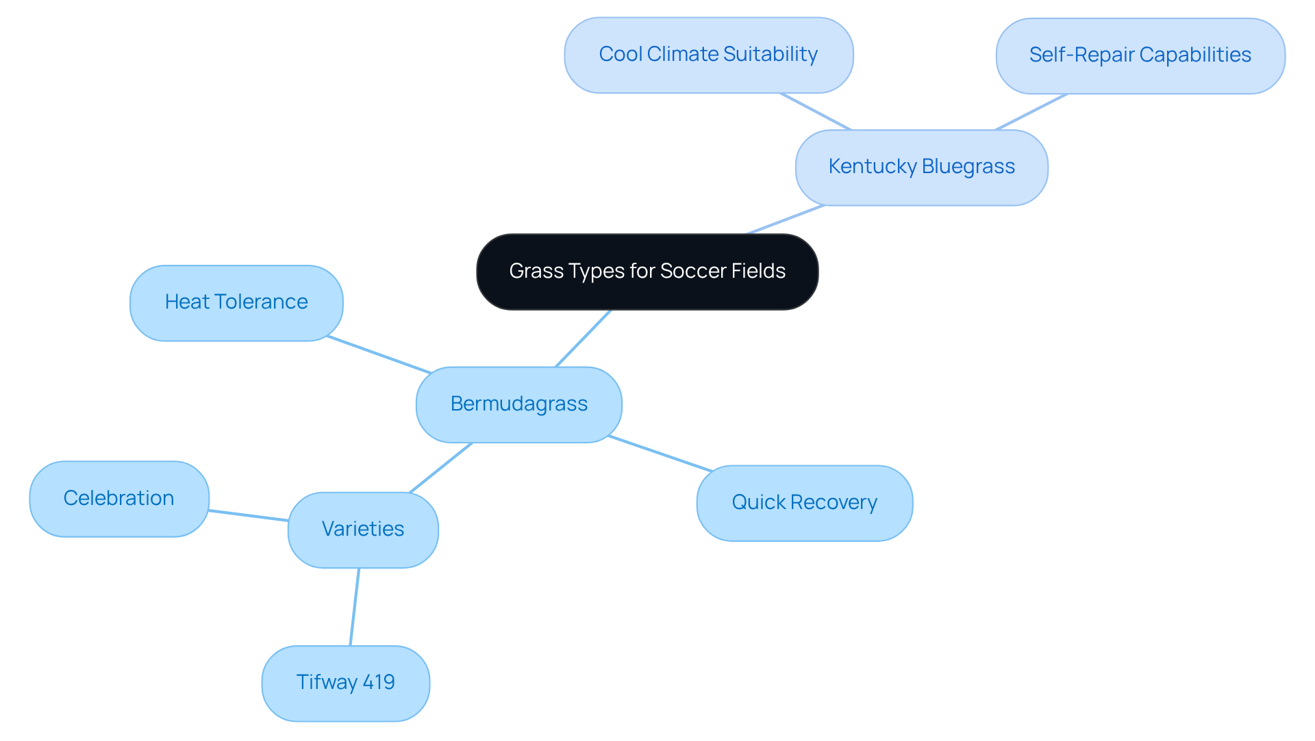 The central node represents the main topic of grass selection for soccer fields. The branches show the two main grass types, and the sub-branches detail their specific characteristics and varieties. This layout helps you understand which grass type might be best for your soccer field based on climate and soil conditions.
