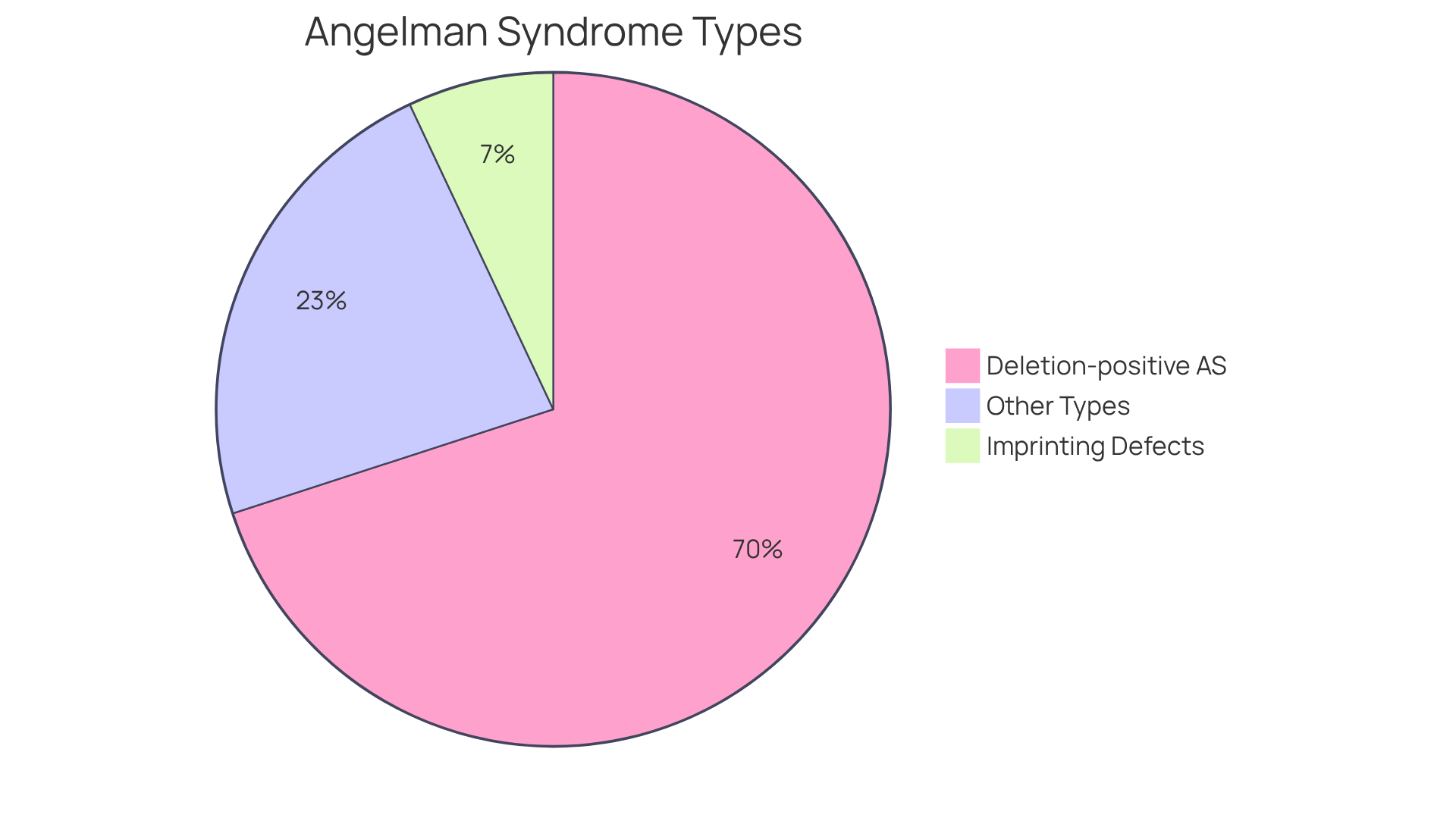 This pie chart shows the different types of genetic inheritance patterns for Angelman Syndrome. The largest slice represents deletion-positive AS, which is the most common type. The smaller slice for imprinting center defects indicates a less frequent cause, while the remaining slice covers other rare types. This helps families understand the likelihood of each type. This pie chart shows the different types of genetic inheritance patterns for Angelman Syndrome. The largest slice represents deletion-positive AS, which is the most common type. The smaller slice for imprinting center defects indicates a less frequent cause, while the remaining slice covers other rare types. This helps families understand the likelihood of each type.