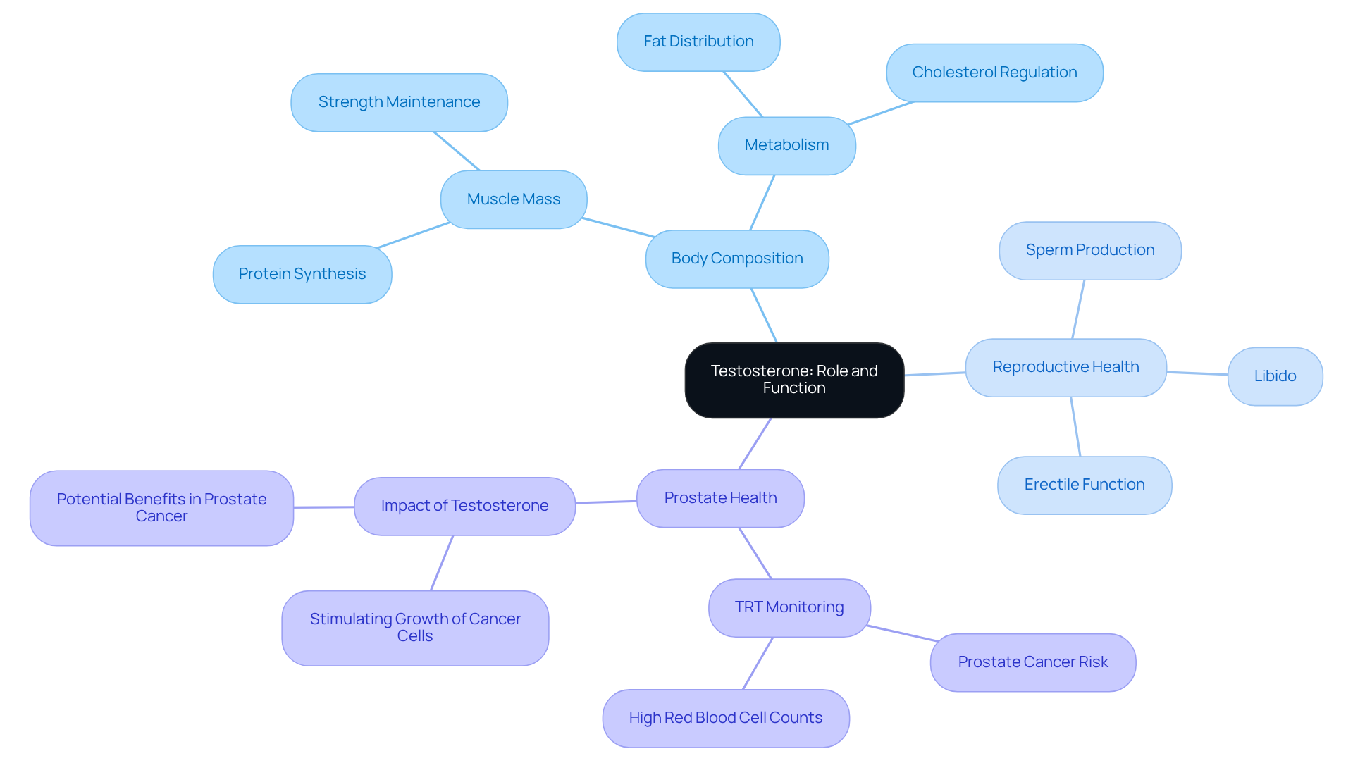 The central node represents testosterone, while the branches show its impact on different health areas. Each sub-branch provides specific details about how testosterone affects those areas, helping you grasp its importance in overall health. The central node represents testosterone, while the branches show its impact on different health areas. Each sub-branch provides specific details about how testosterone affects those areas, helping you grasp its importance in overall health.