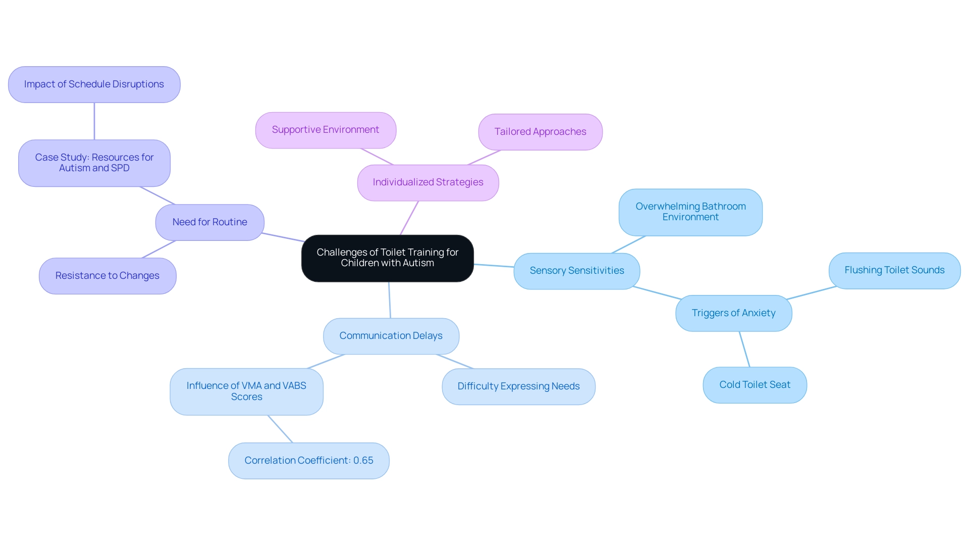 The central node represents the overall challenges, with branches showing key factors affecting toilet training for children with autism.