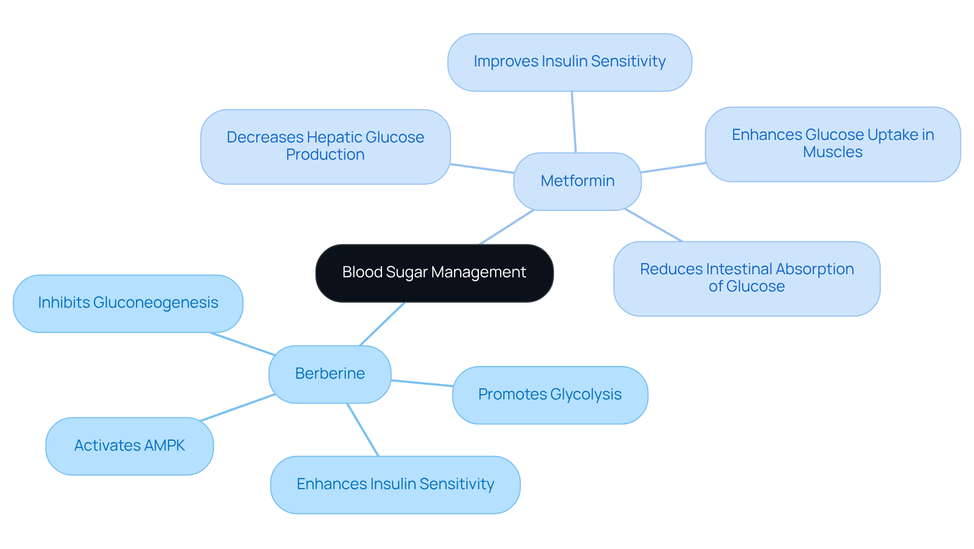 This mindmap helps you visualize how berberine and metformin work to manage blood sugar levels. Each branch shows the key mechanisms of action for both compounds, making it easier to compare their effects and understand your options. This mindmap helps you visualize how berberine and metformin work to manage blood sugar levels. Each branch shows the key mechanisms of action for both compounds, making it easier to compare their effects and understand your options.