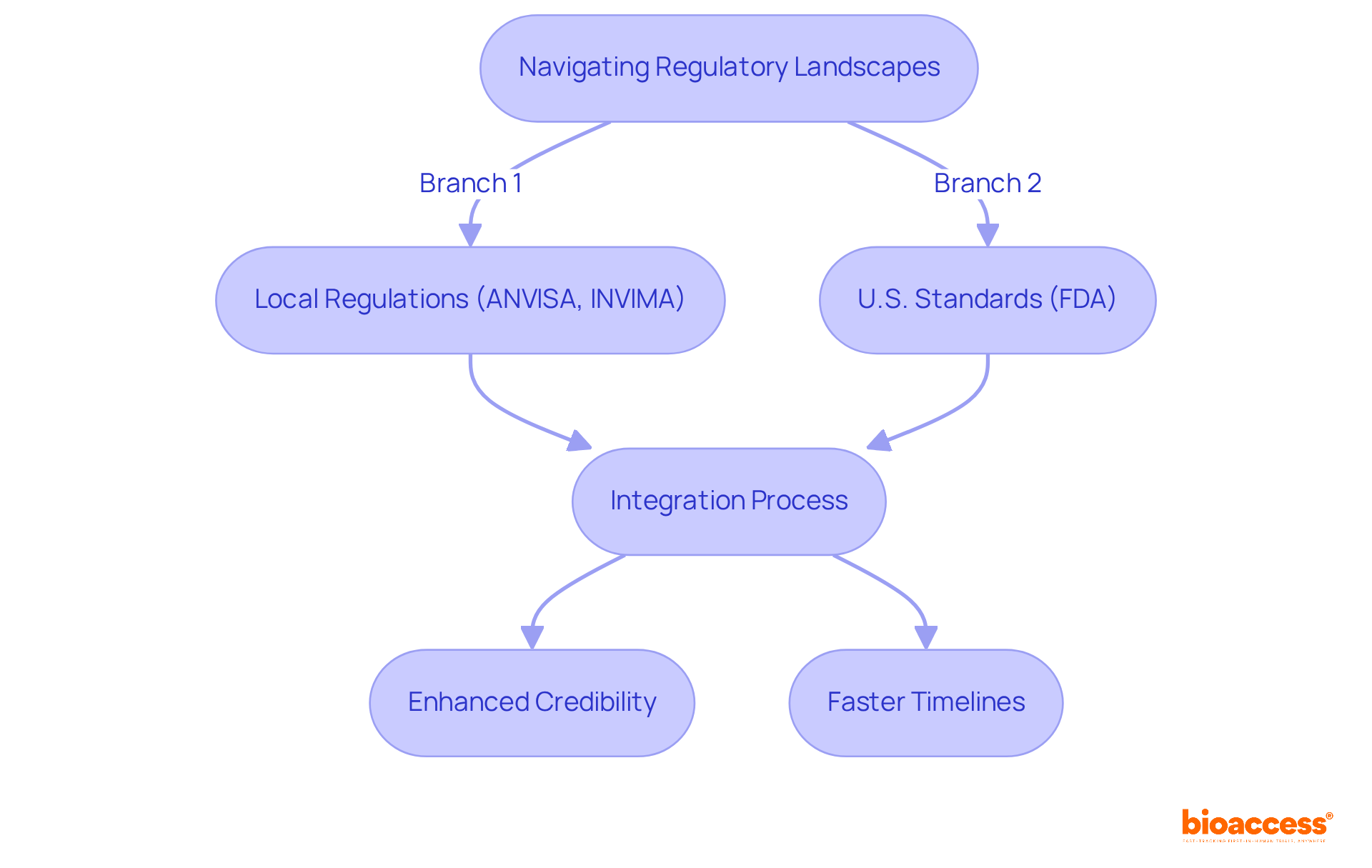 This flowchart illustrates how the platform helps navigate the complex regulatory requirements. Follow the arrows to see how local regulations and U.S. standards come together to enhance research credibility and speed up timelines.
