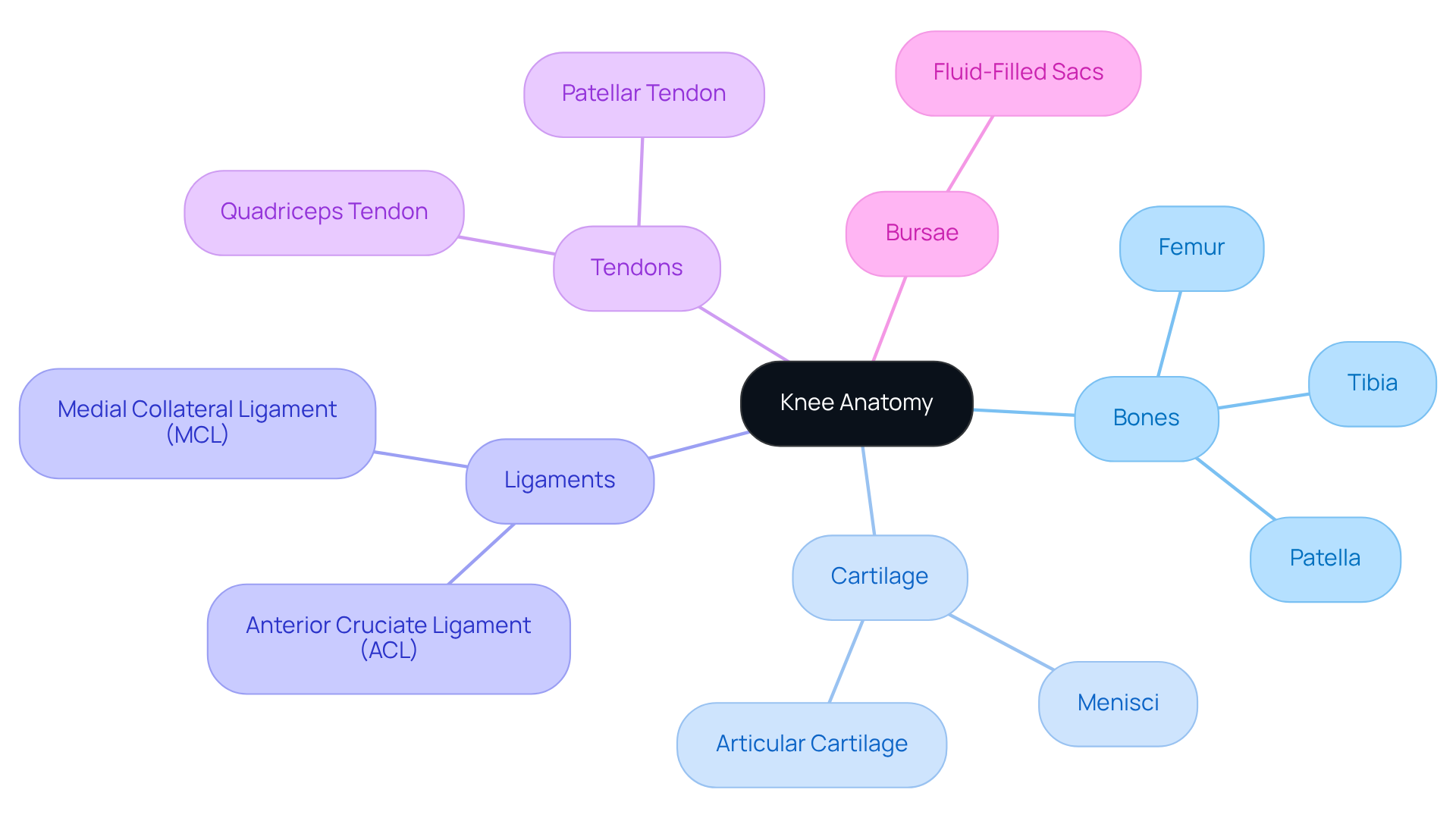 The central node represents the knee anatomy, with branches showing the main structures. Each sub-branch provides details about specific components, helping you see how they all work together to support joint health.