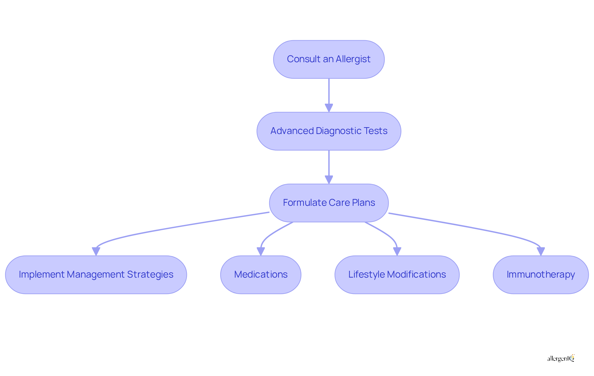 Follow the arrows to see how consulting an allergist leads to personalized allergy management. Each step builds on the previous one, guiding you through the process of achieving relief from pet dander allergies.