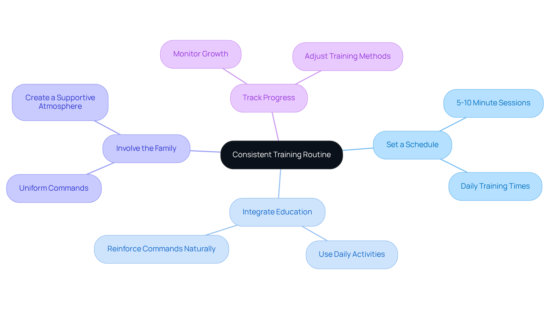 The center represents the main focus on establishing a training routine. Each branch shows a strategy, and the sub-branches detail specific actions or considerations for that strategy.