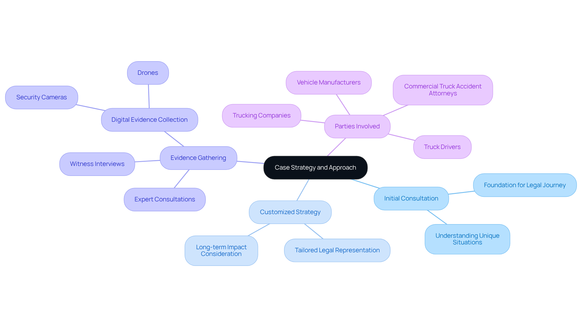 The center represents the overall strategy, with branches showing the key components and parties involved. Each branch highlights an important aspect of the legal approach, helping you see how everything connects.
